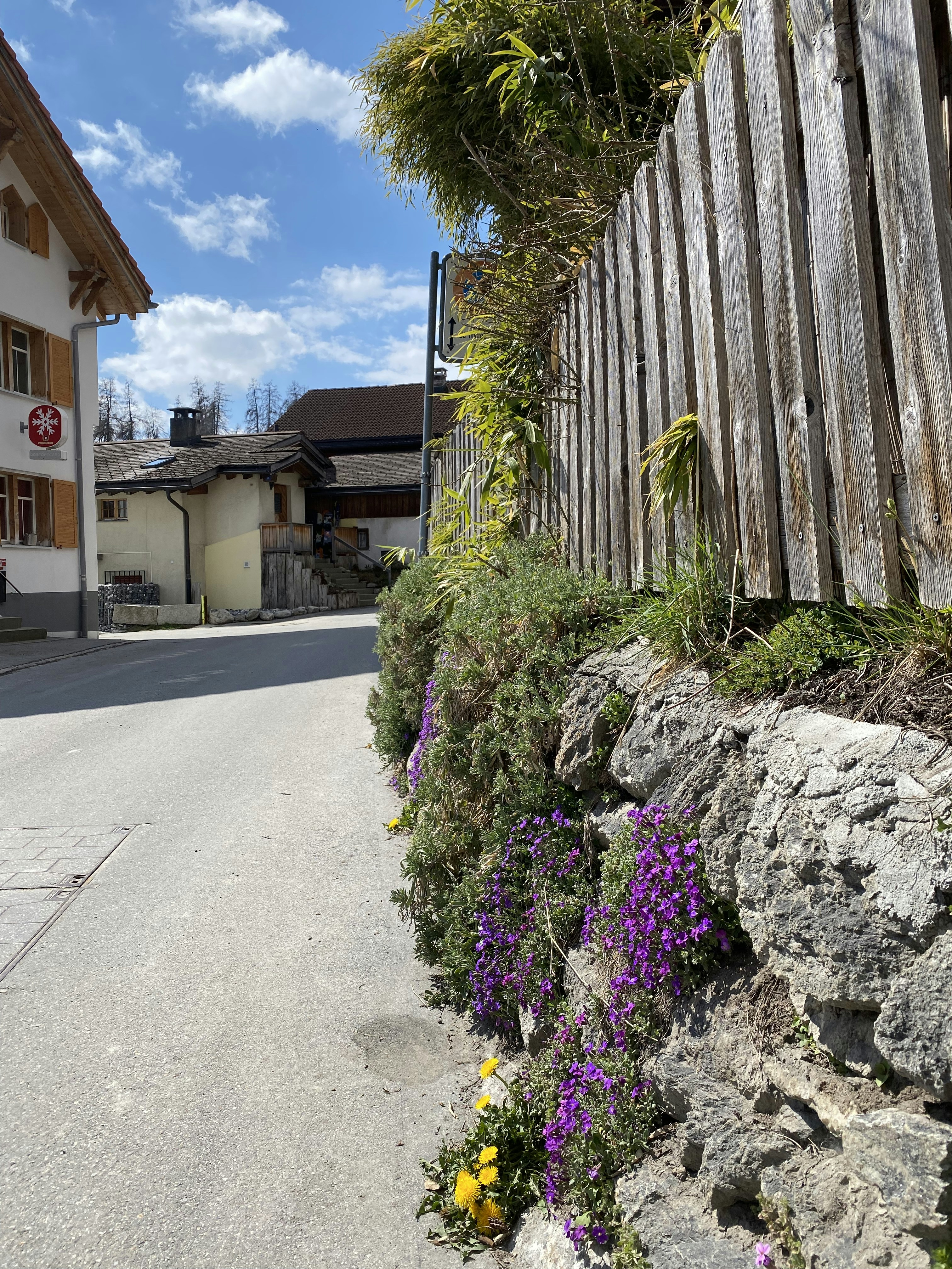 Sunlit Alpine Lane: Purple Blooms Framing a Quiet Village Street