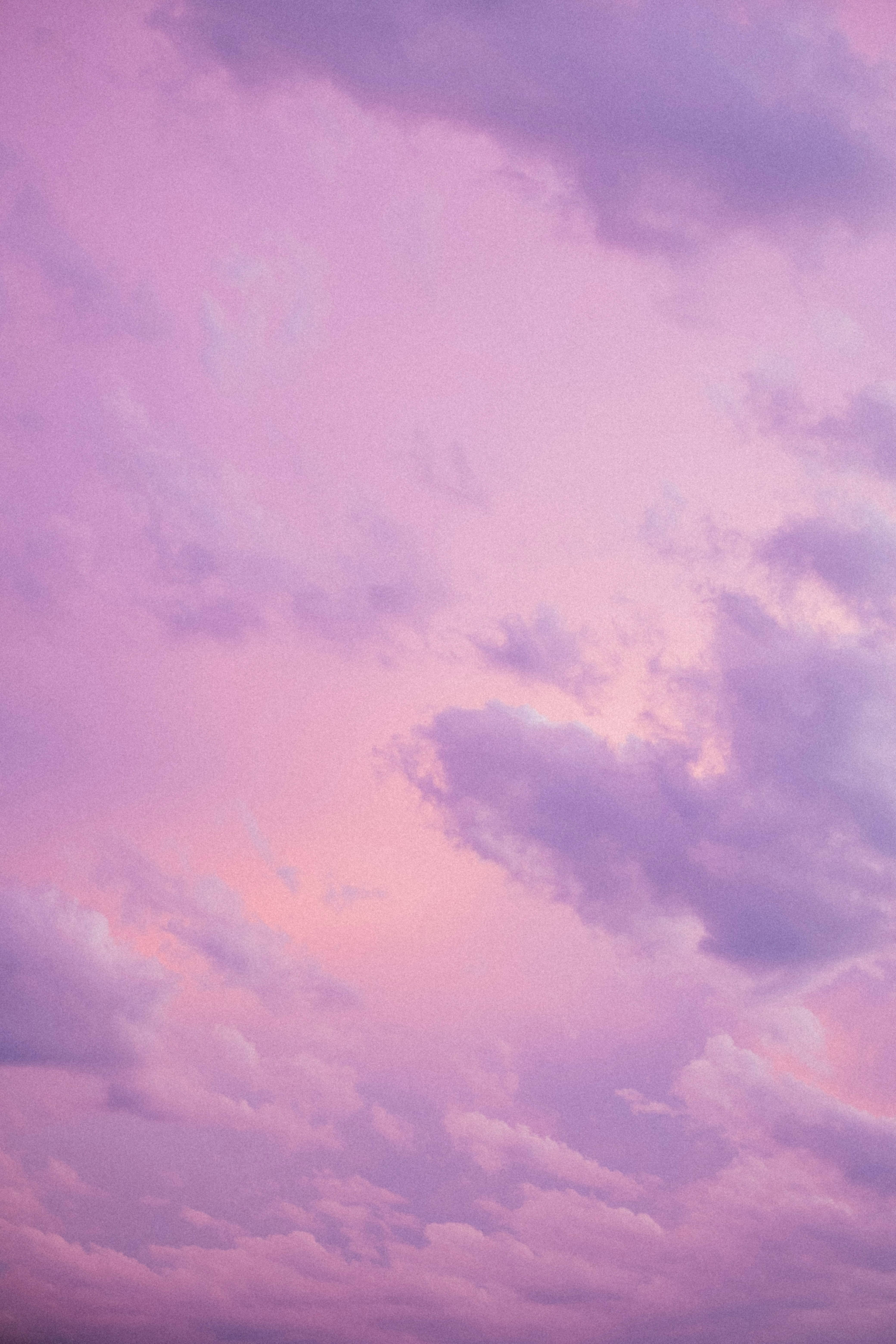 Purple Gradients Pictures | Download Free Images on Unsplash