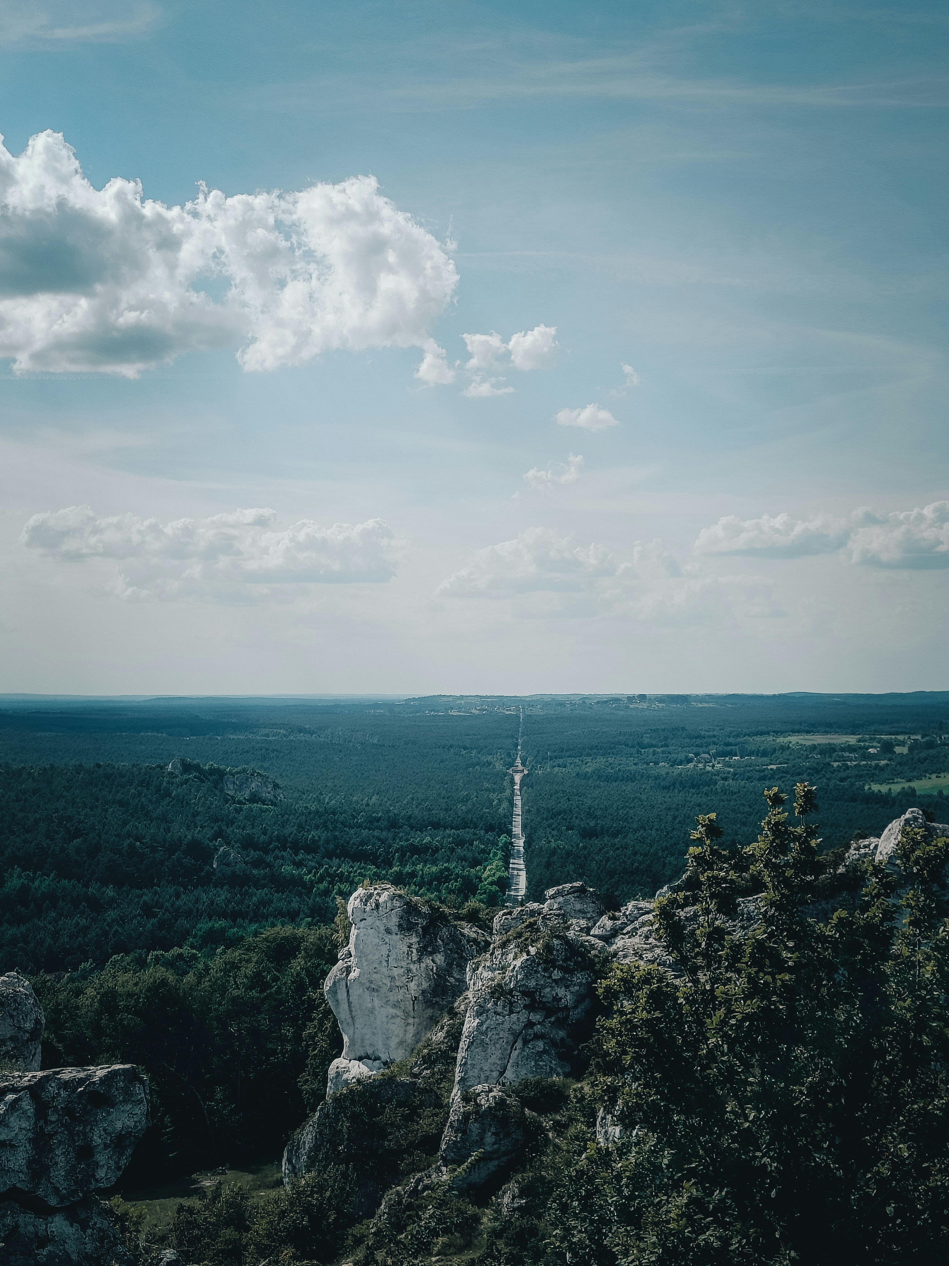 Spire on the Horizon: A Sentinel Over the Pines