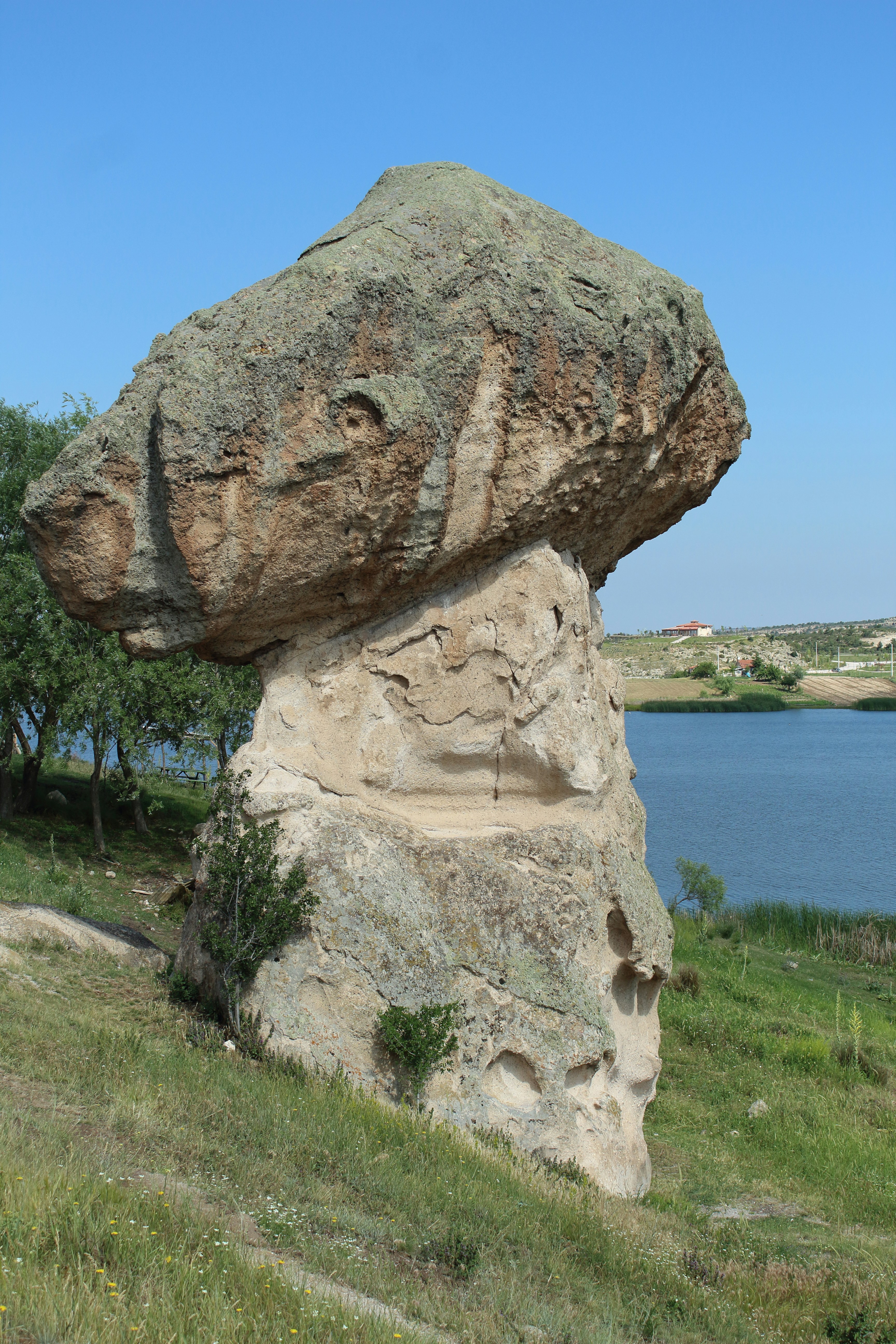 A uniquely shaped rock formation resembling a mushroom stands beside a calm body of water, framed by lush greenery and a clear blue sky.