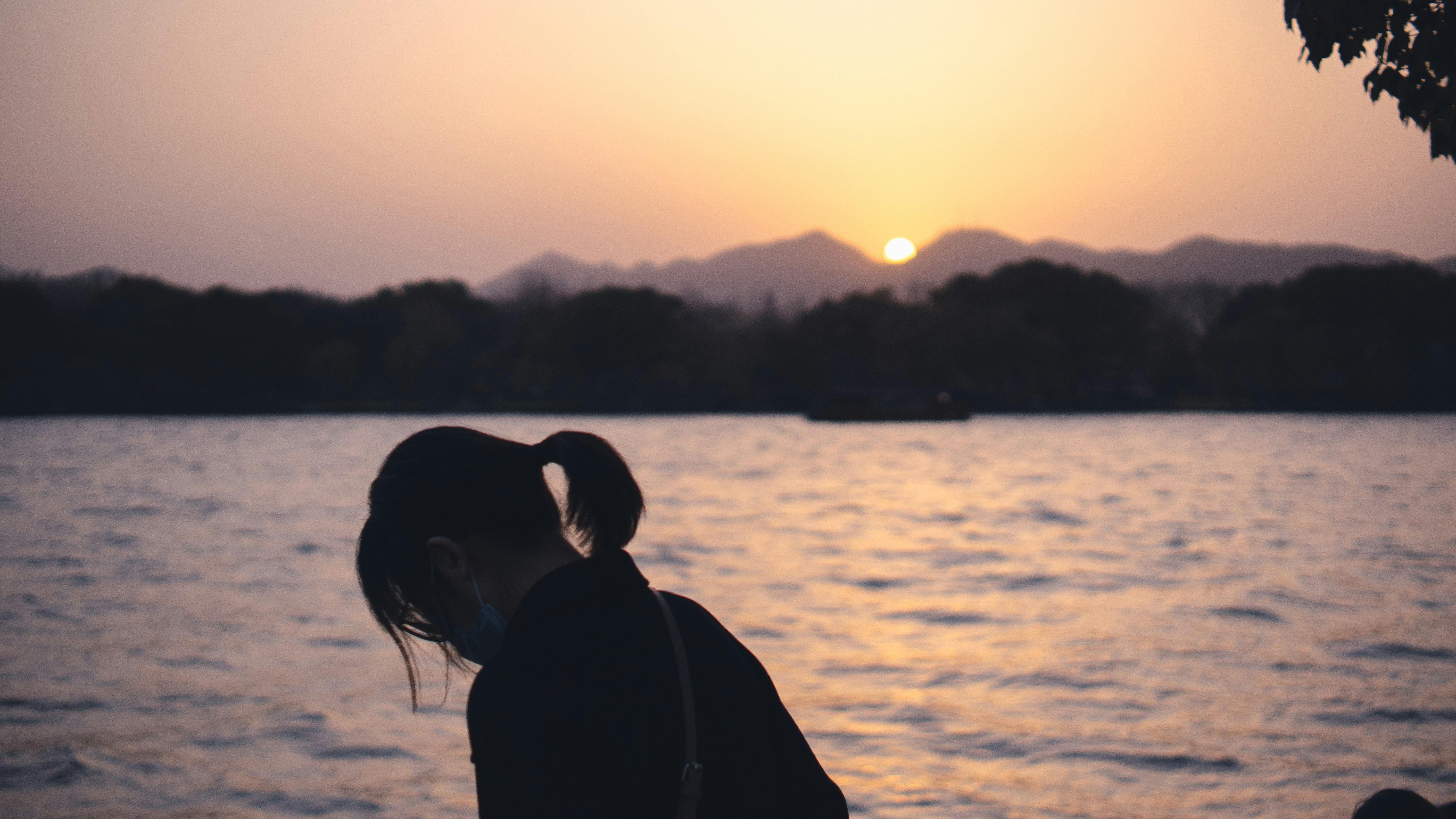 Whispers of Dusk: A Solitary Reflection