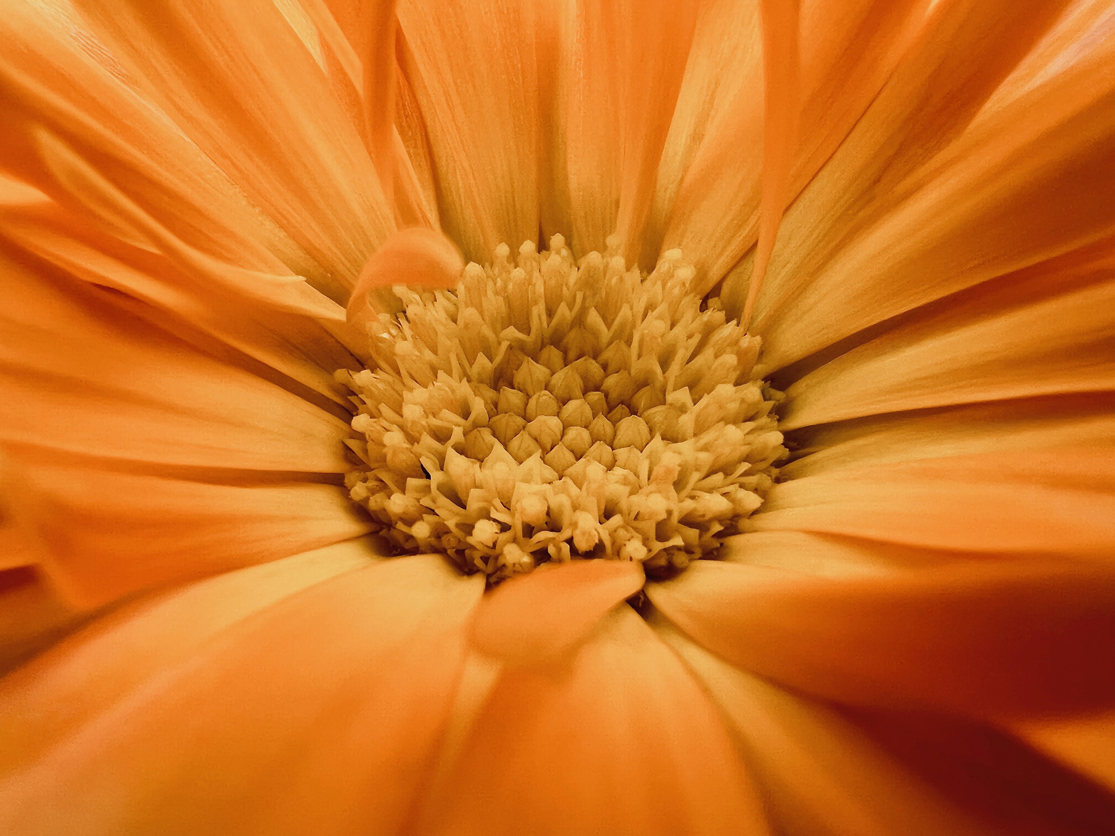 1K+ Desktop Wallpaper Pictures | Download Free Images on Unsplash