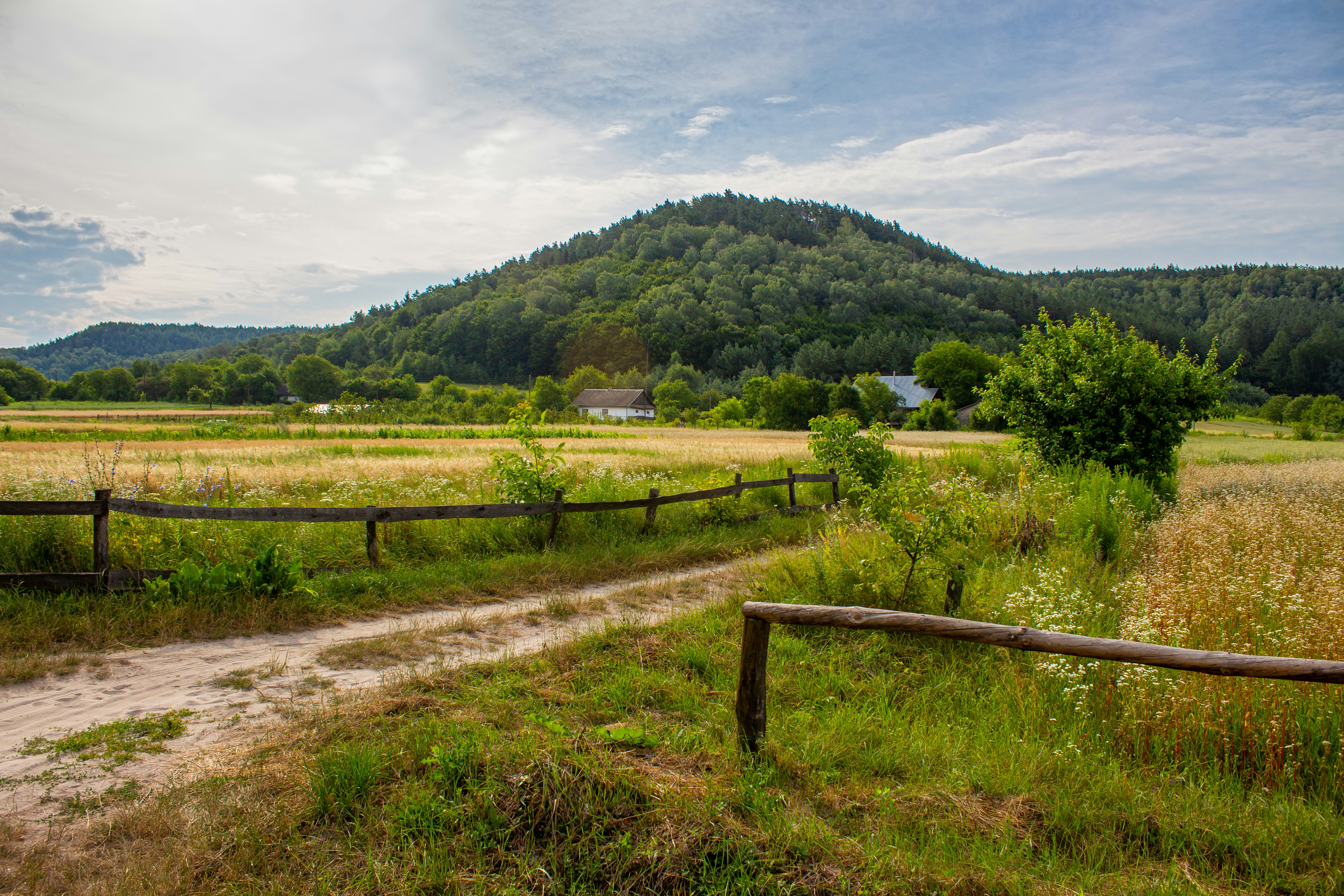 A fenced in field with a house in the distance photo – Free Landscape ...