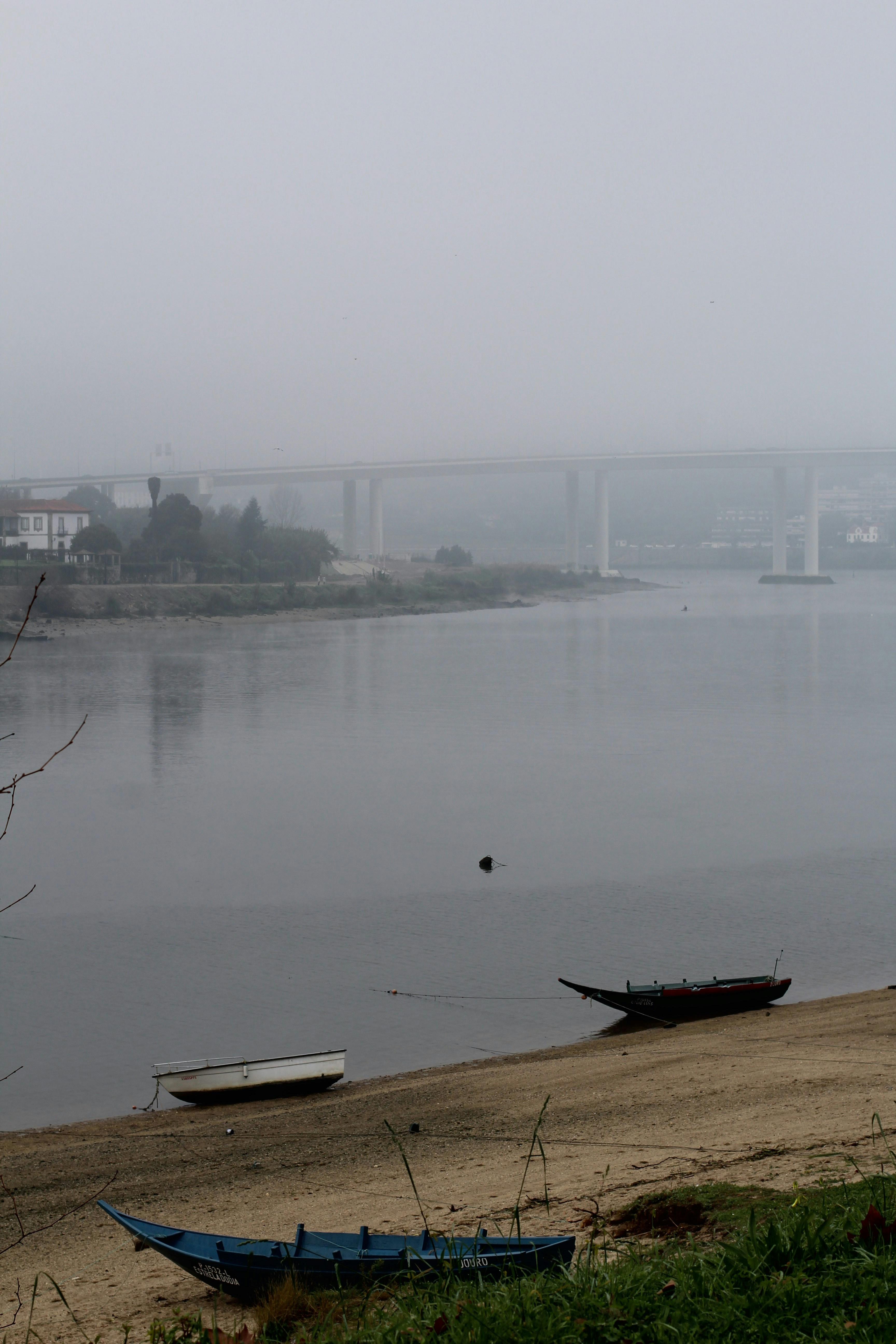 Serenity by the Misty Riverbank