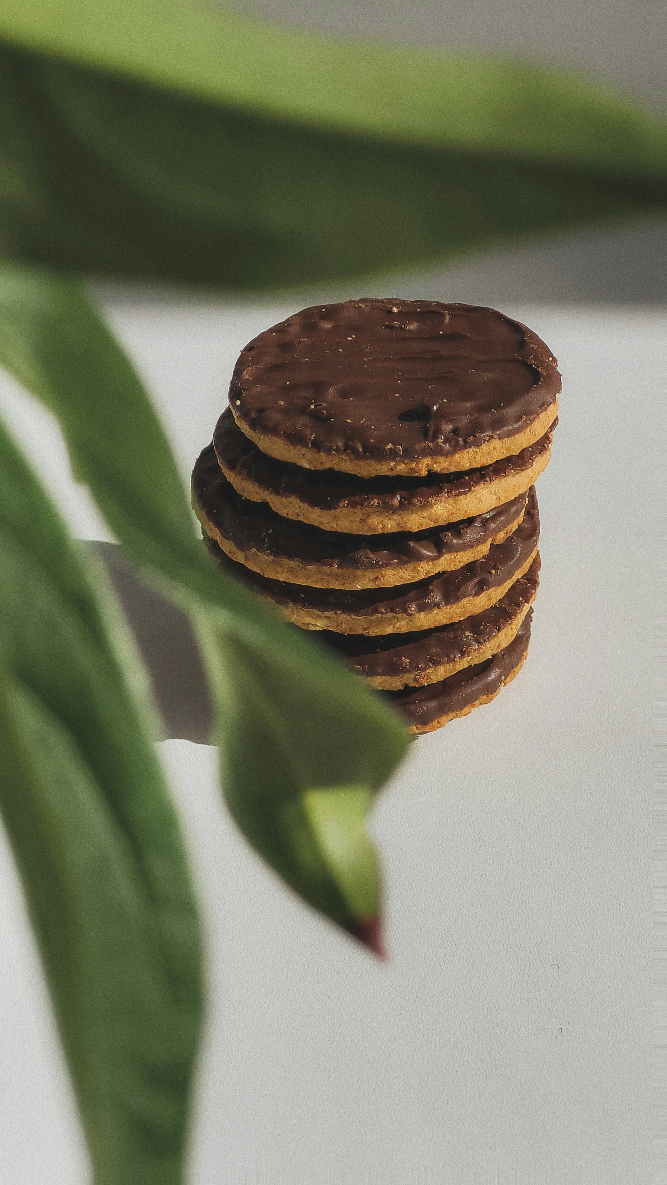 All the joy of life on a plate | 22 best free food, food styling, food ...