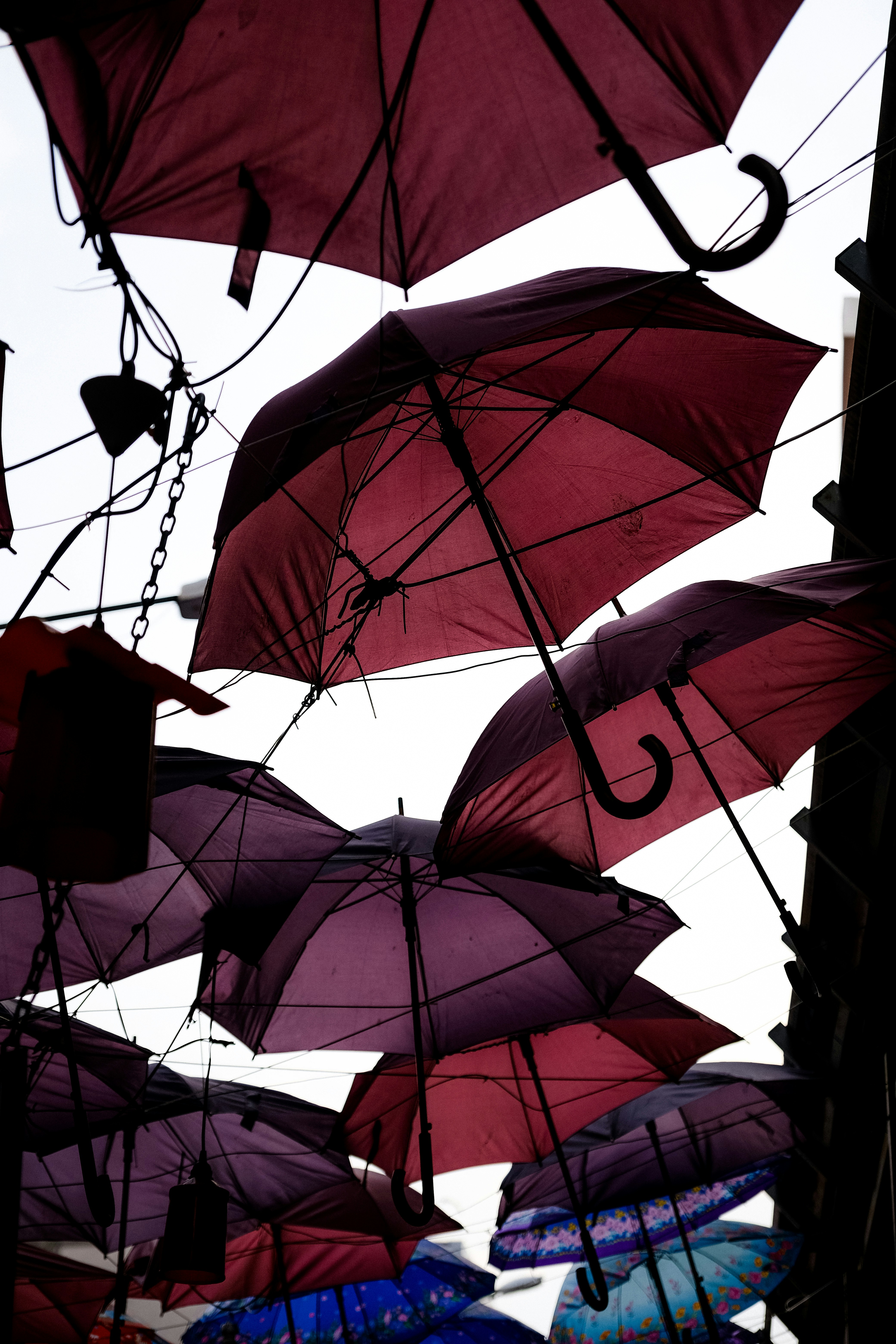 A group of umbrellas are from a ceiling photo – Free İstanbul Image on ...