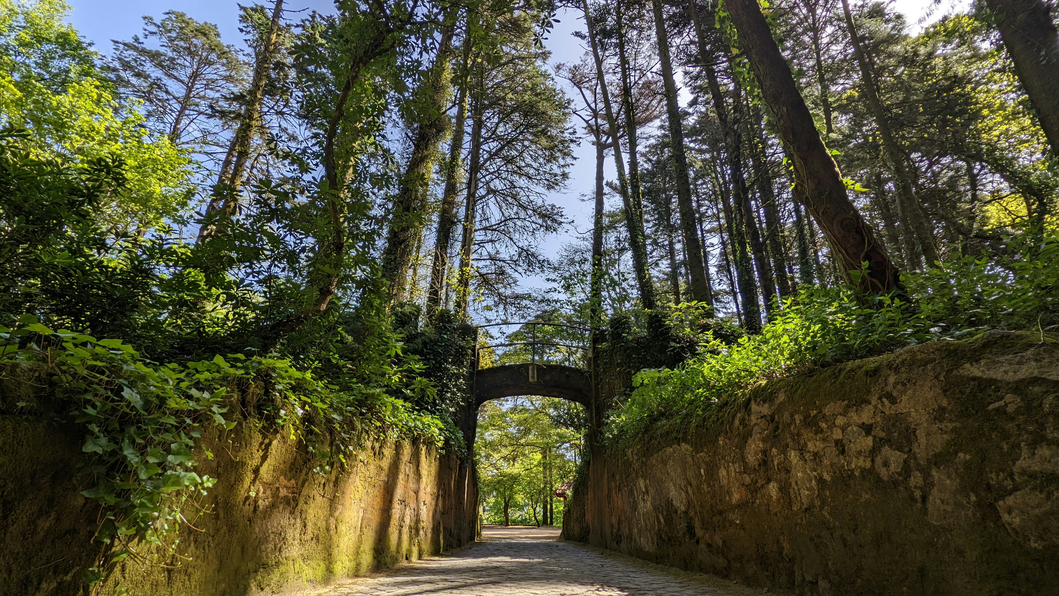 Stone Arch Framing a Sunlit Forest Path