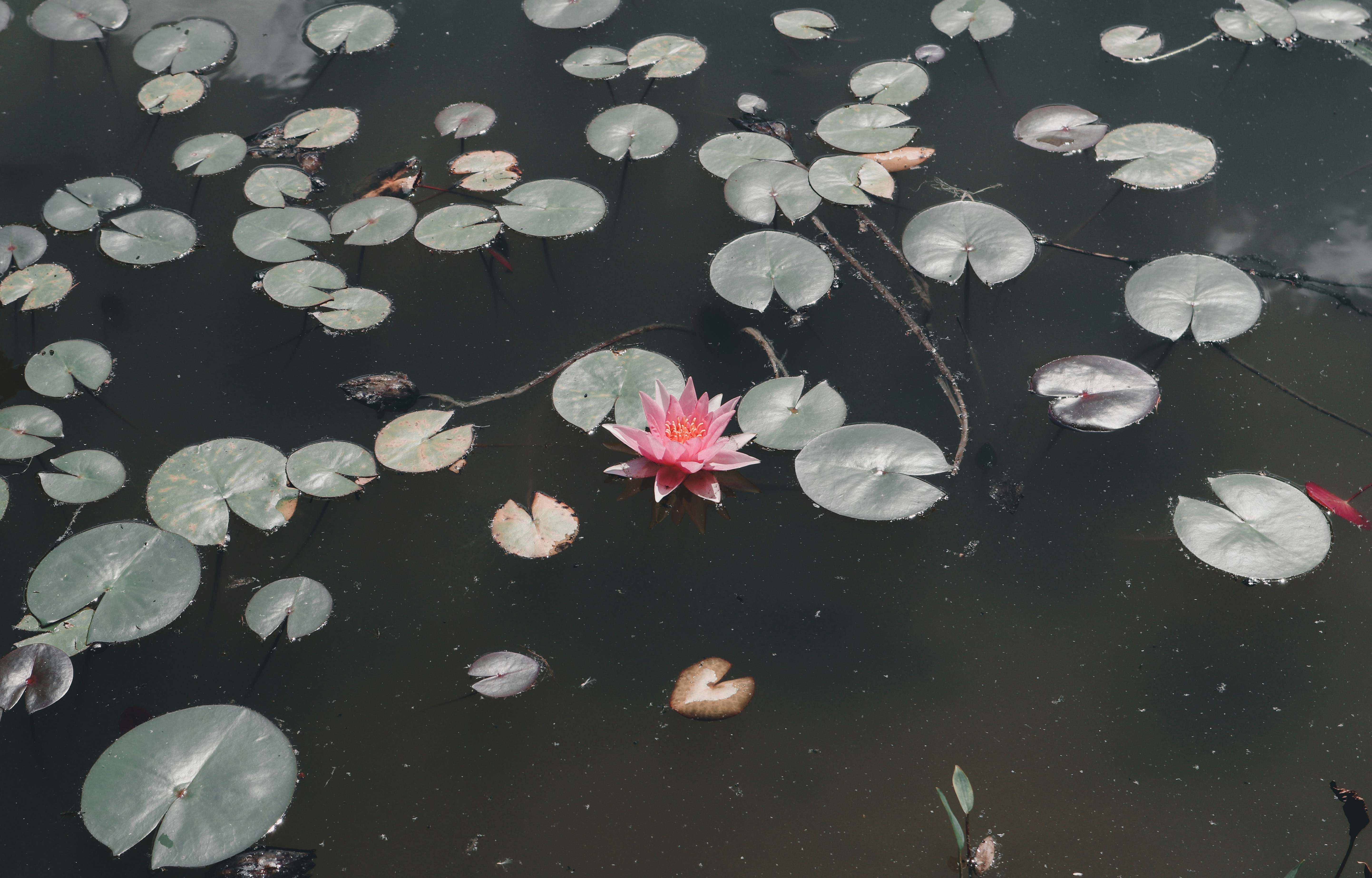 Photo by Lea with Canon EOS M100