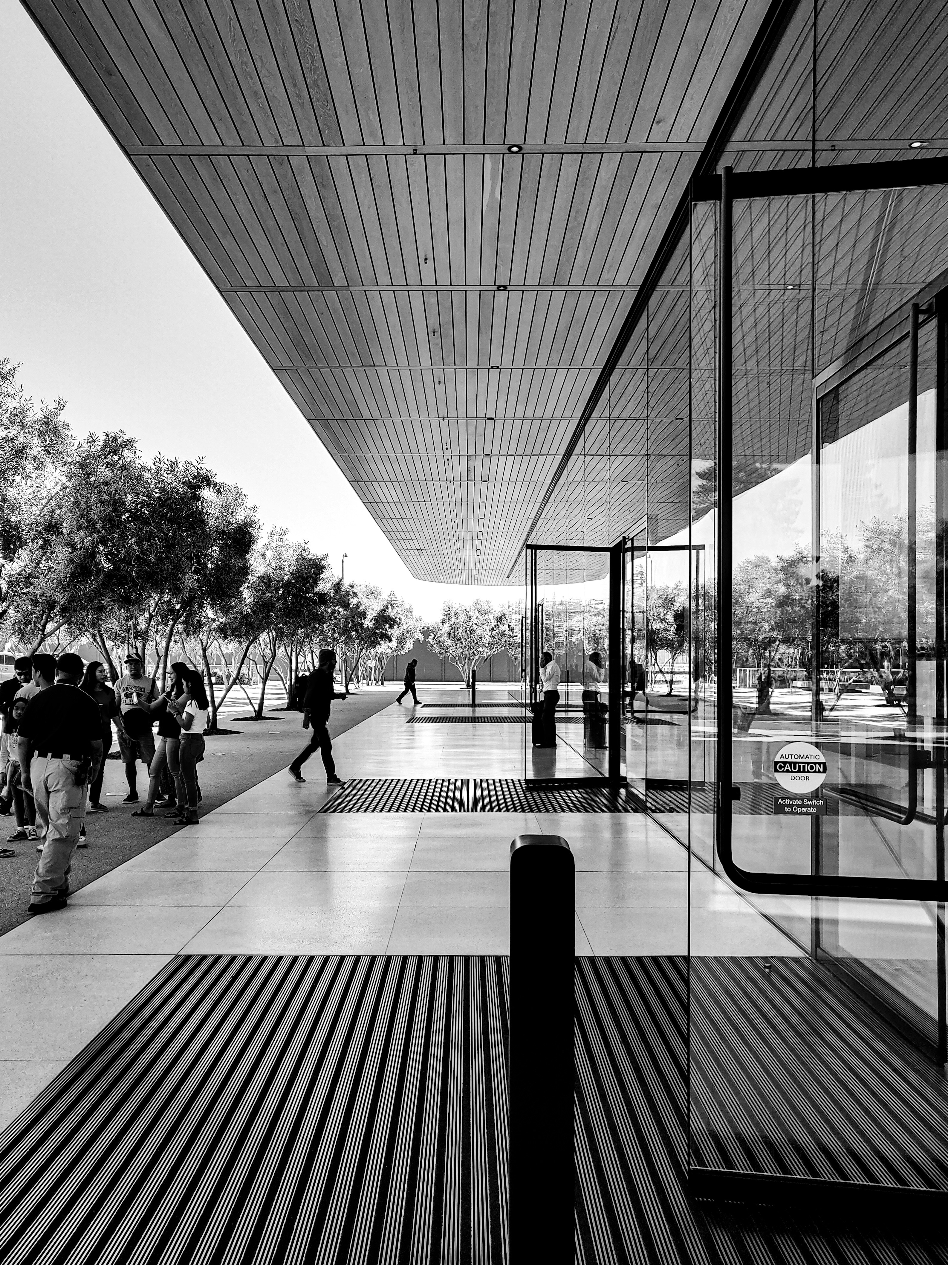Canopy Convergence: A monochrome stroll through a glass-front arcade
