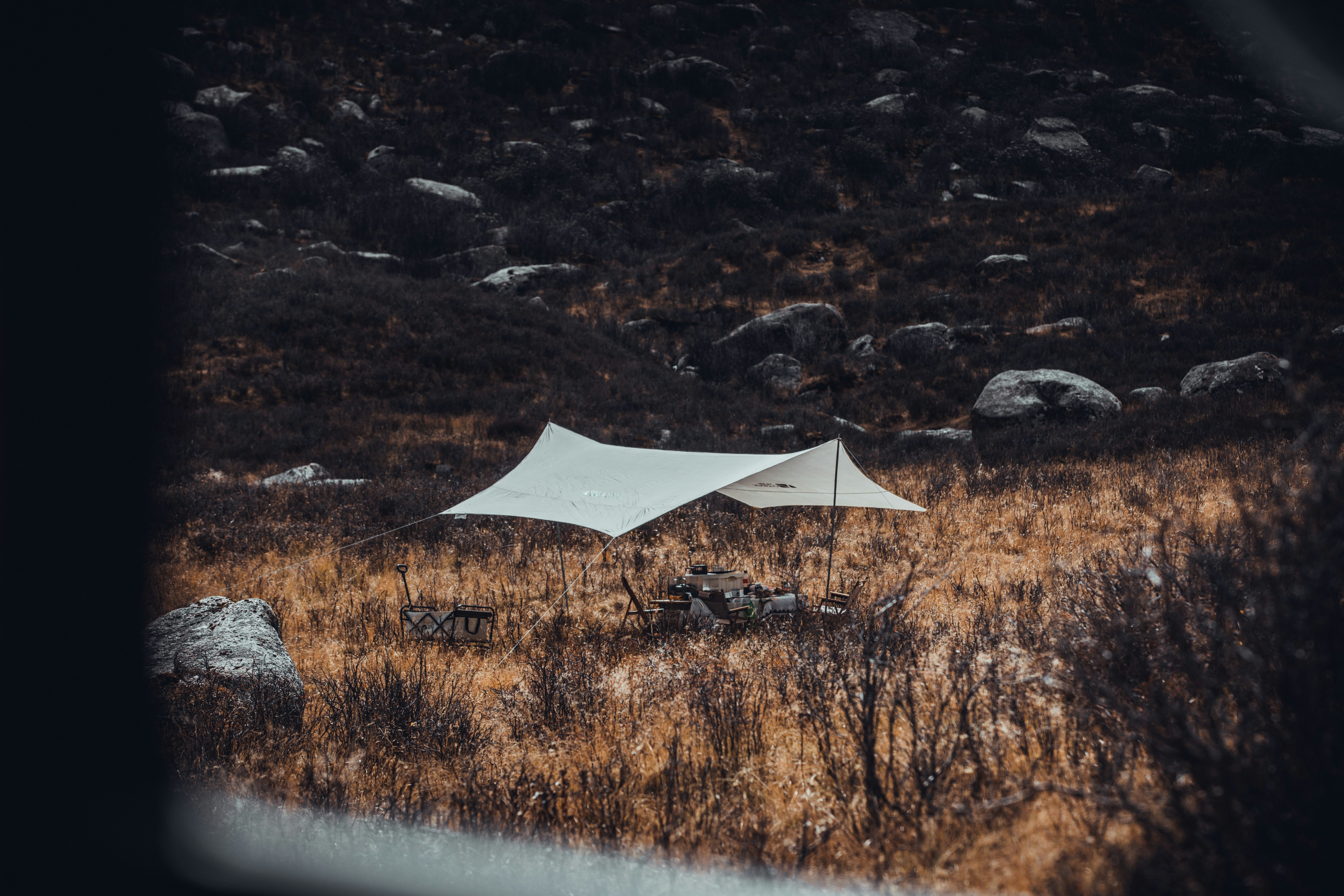 Quiet Camp under a Weathered Canvas Canopy