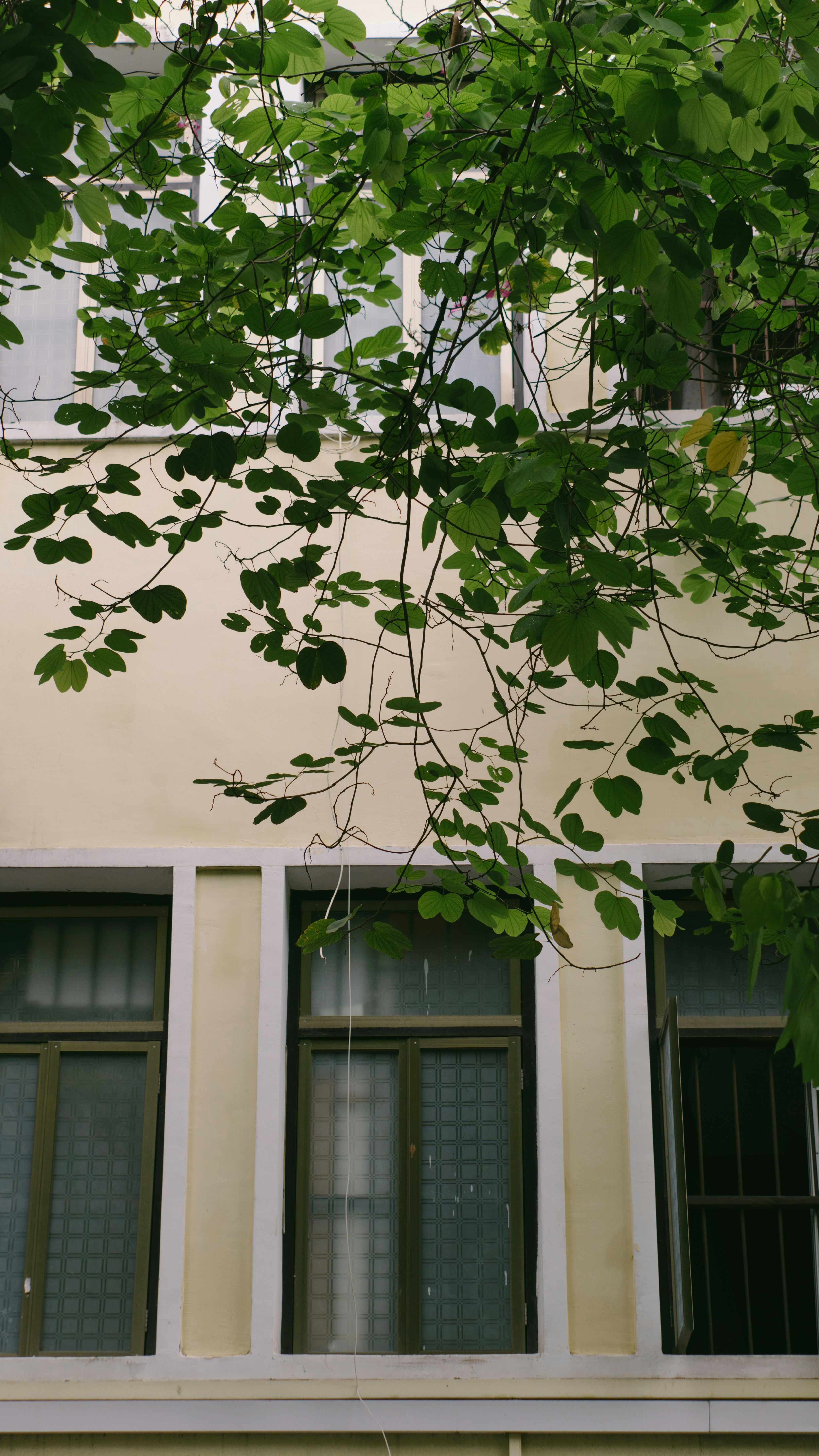 Photo by Shawn Rain with Sony Alpha 6400