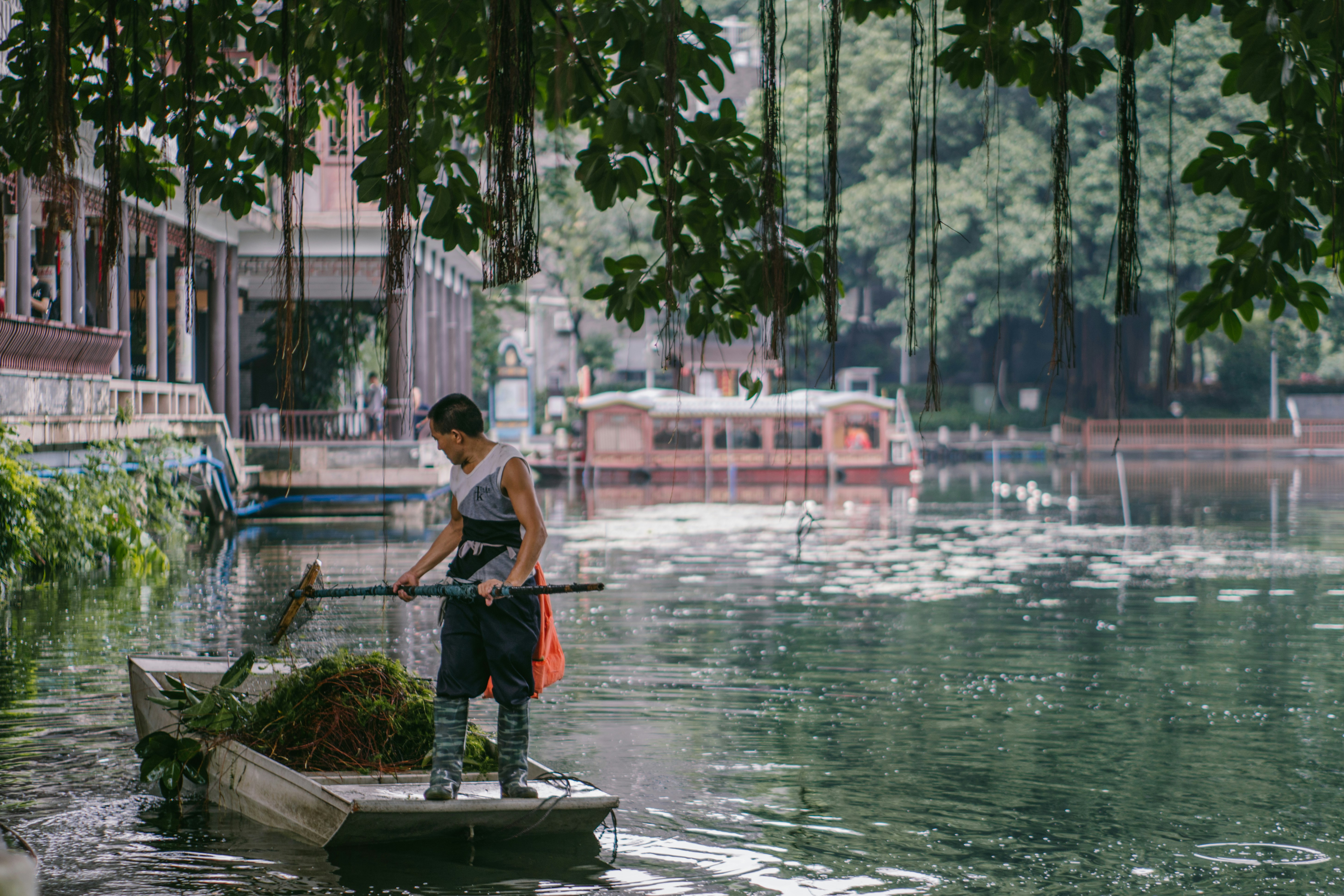 Verdant Load on the City Canal: A Boatman at Work