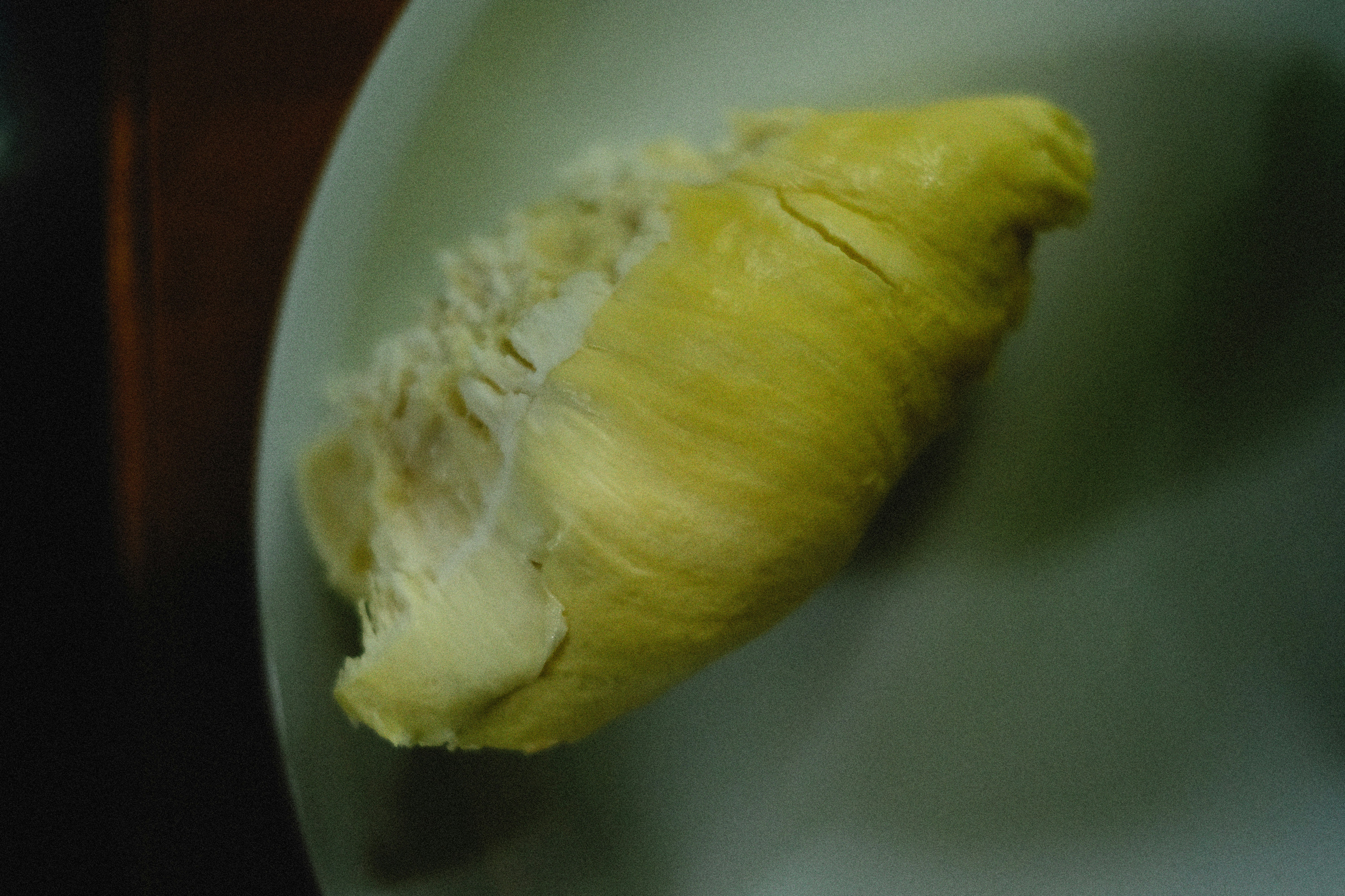 Gold-tinged Ginger Fragment on a Quiet, Glossy Plate