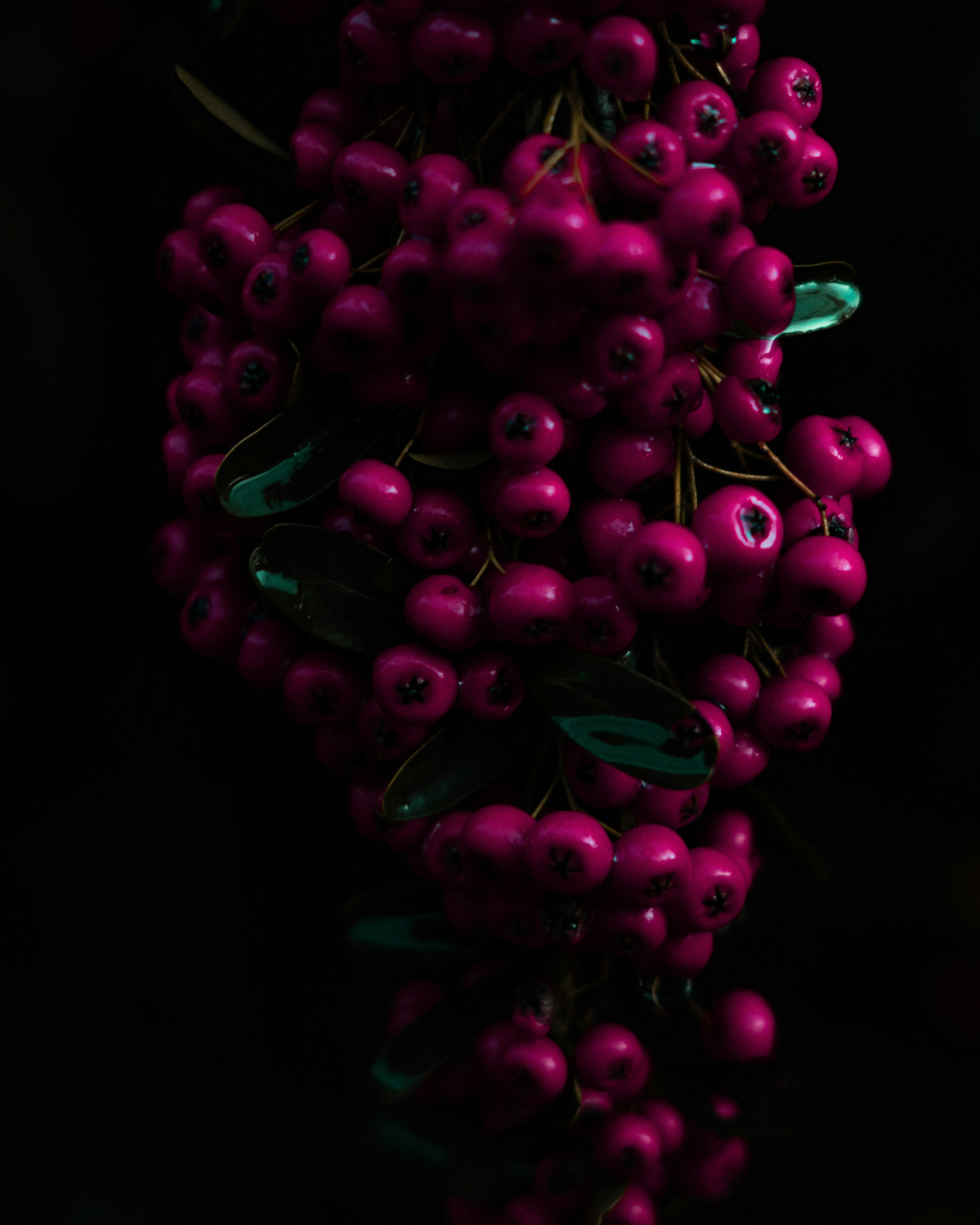 Poisoned Apples