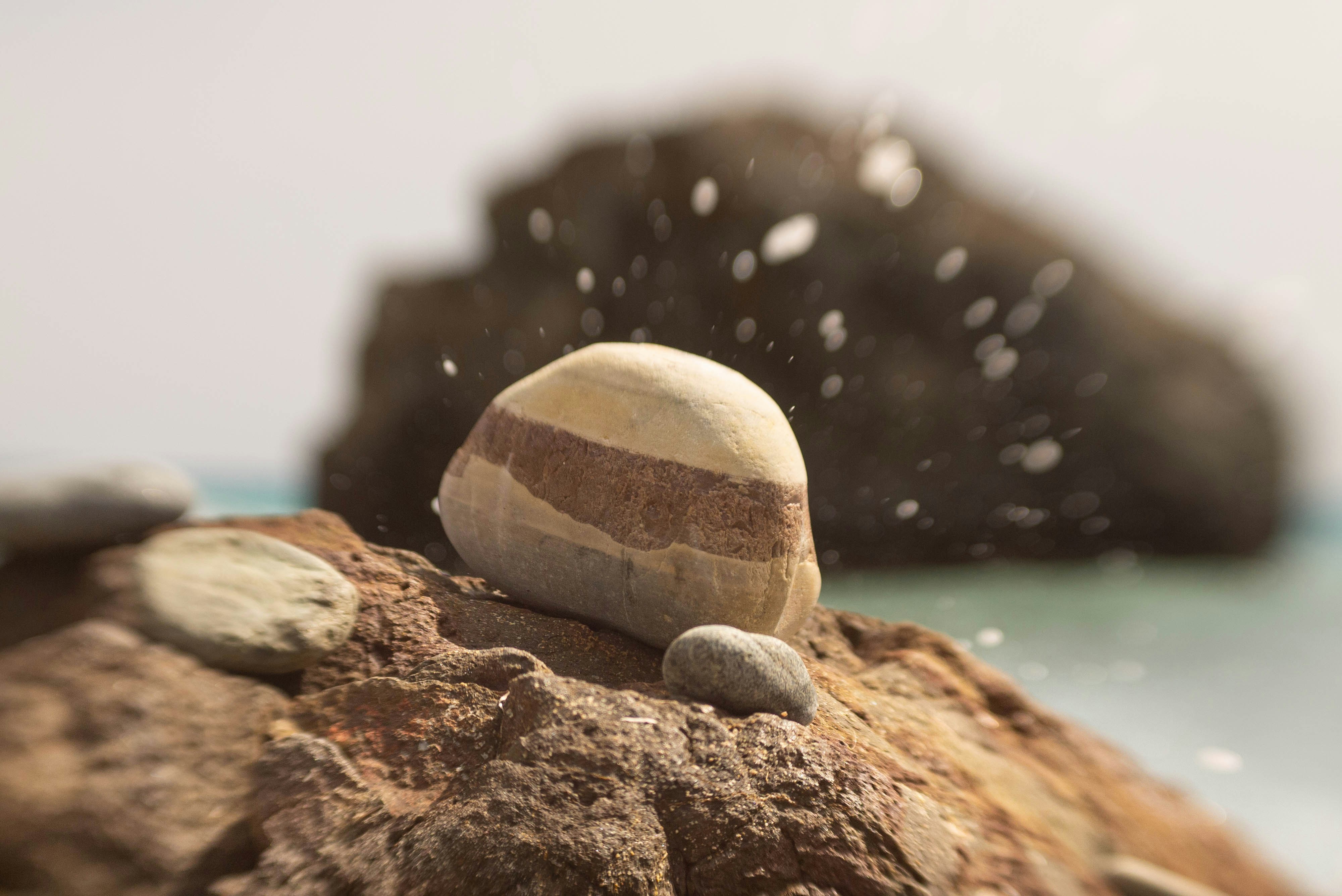 A uniquely patterned stone rests atop a rugged rock surface, surrounded by splashes of water. The background features a blurred coastal landscape.