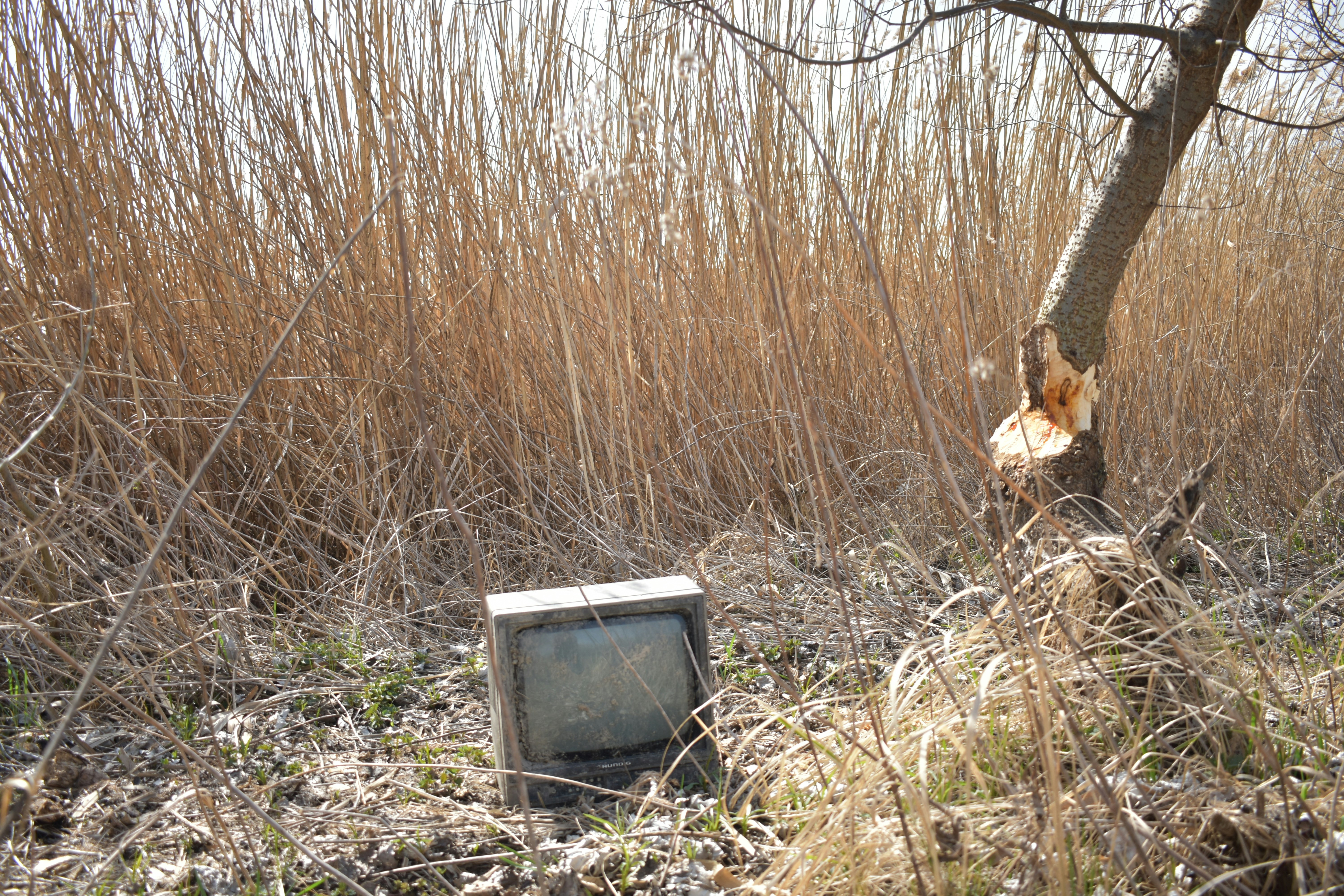 Abandoned Screen in a Field: A Quiet Rubbish of Remnants