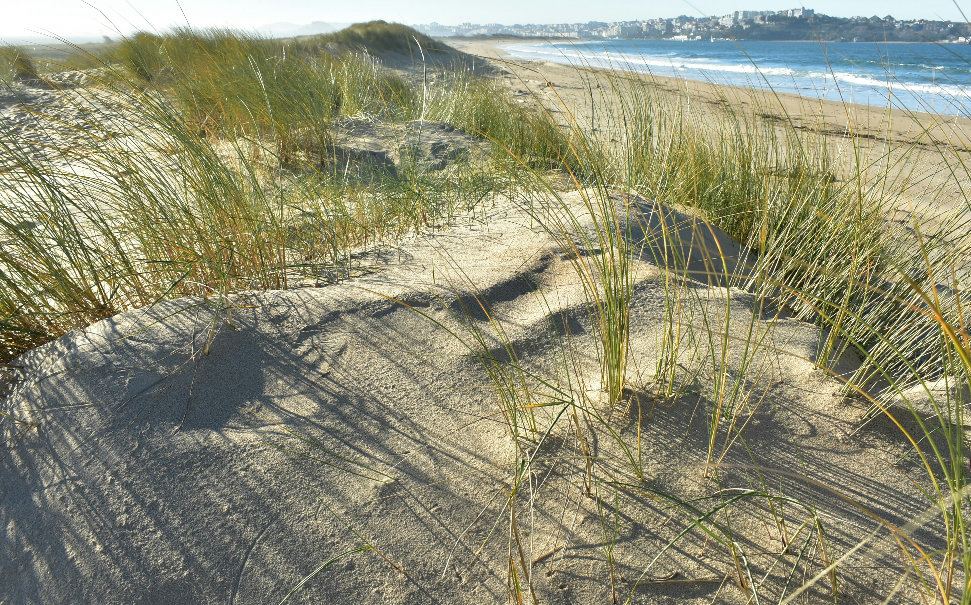 Coastal sand dunes with sparse grasses leading to a distant shoreline under a clear sky.