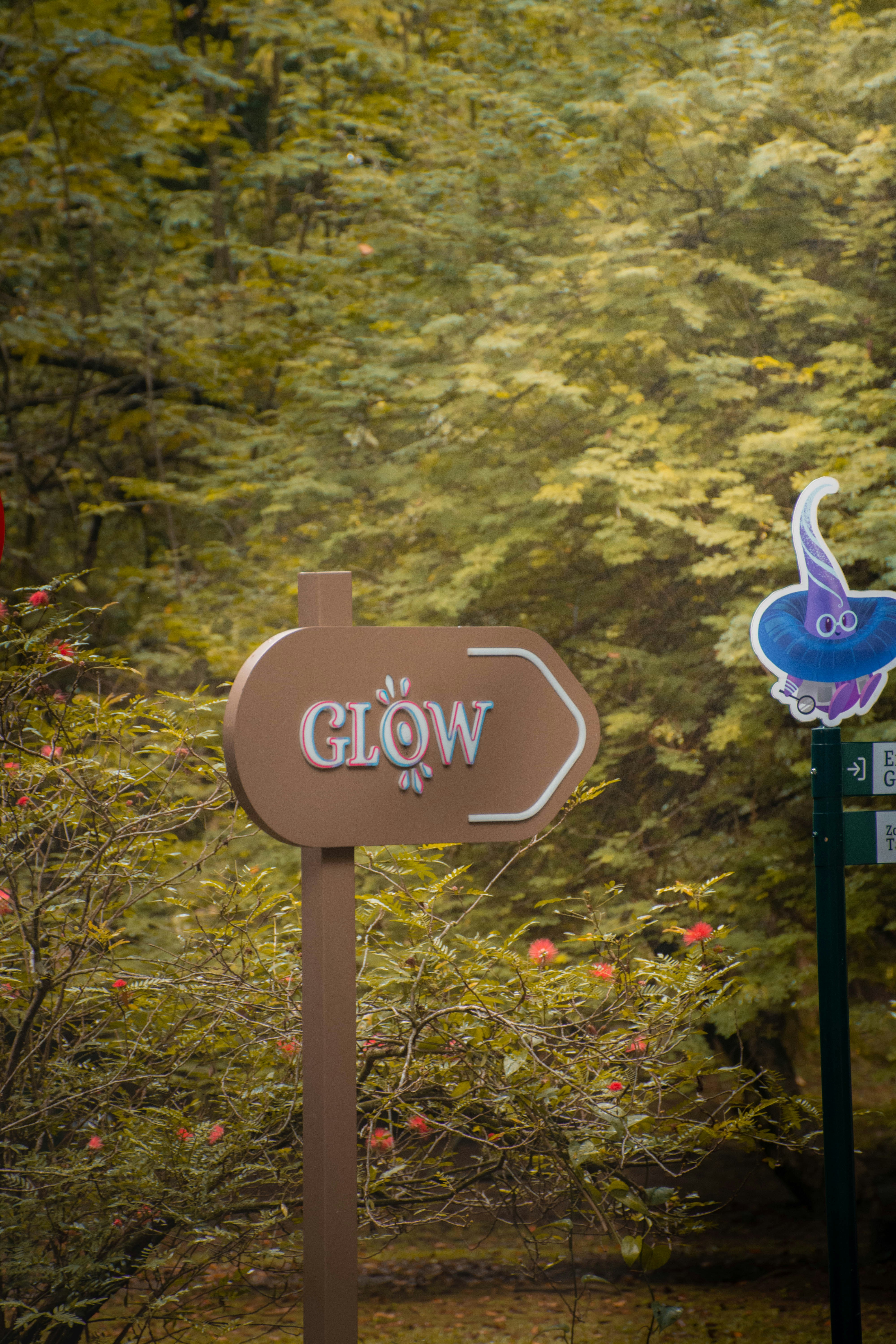 Glowing Path: A Signpost to Fantasy in a Quiet Autumn Lane