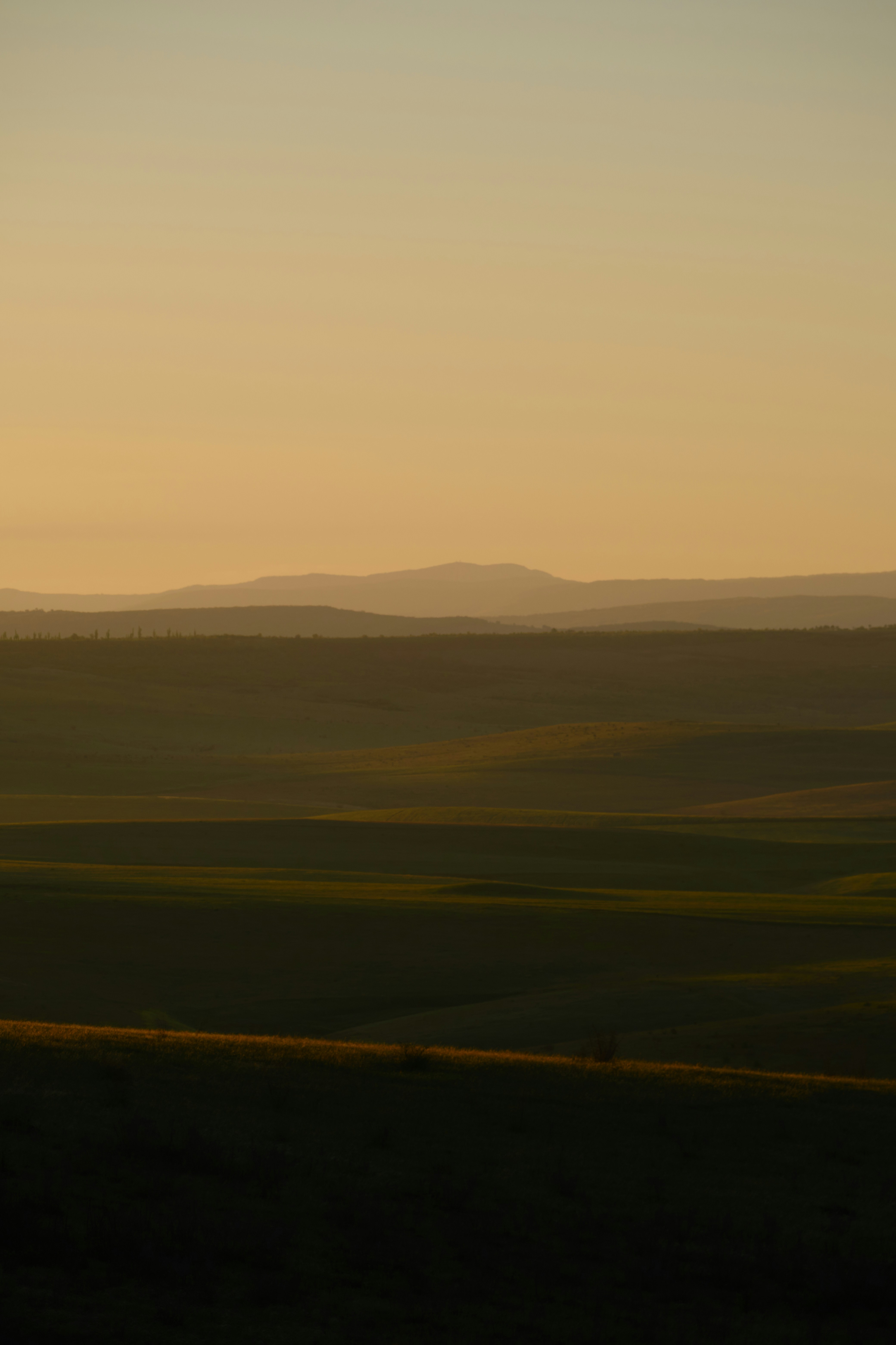 Ember Ridge: Golden Hour Over the Rolling Plain