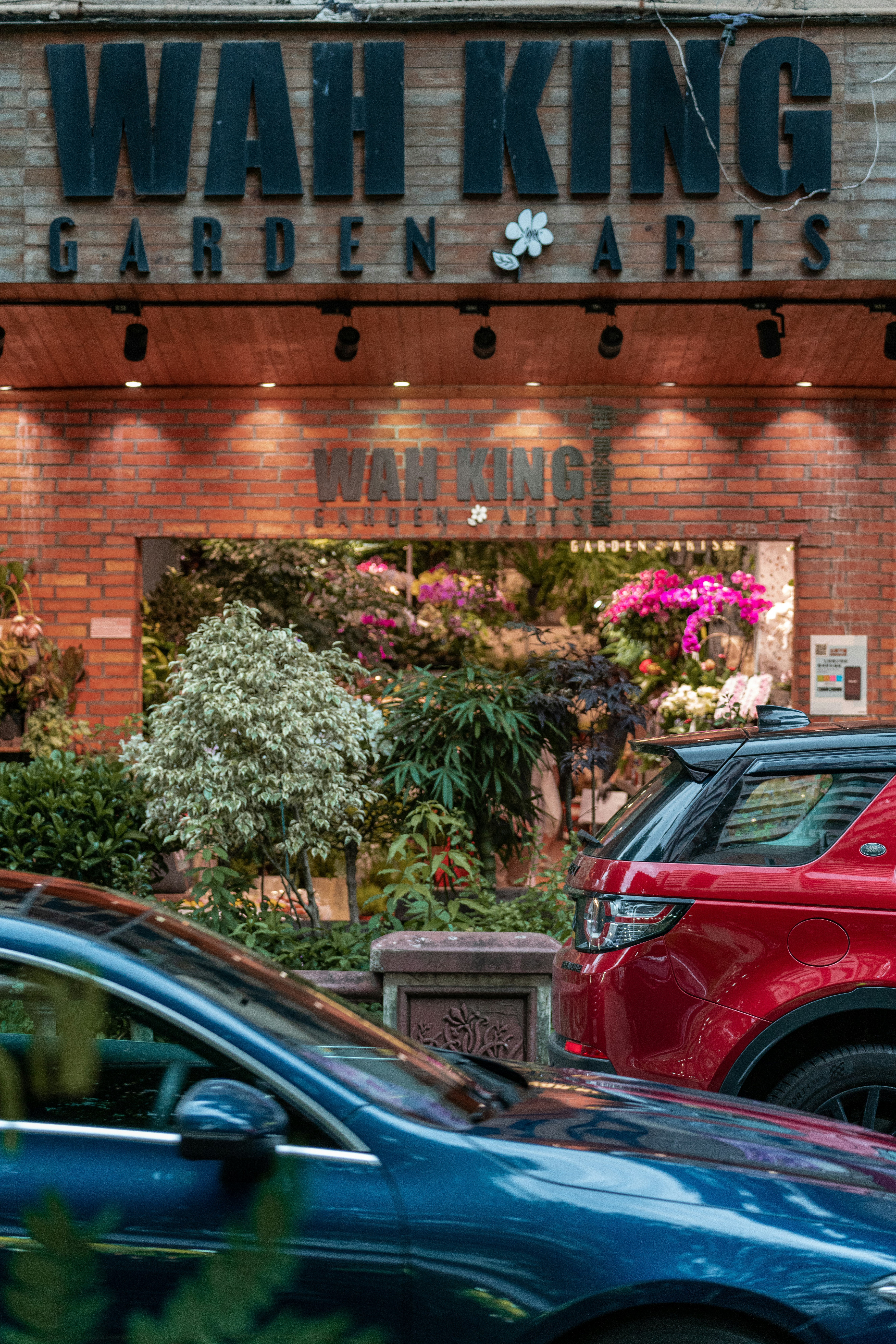 Mong Kok Flower Market