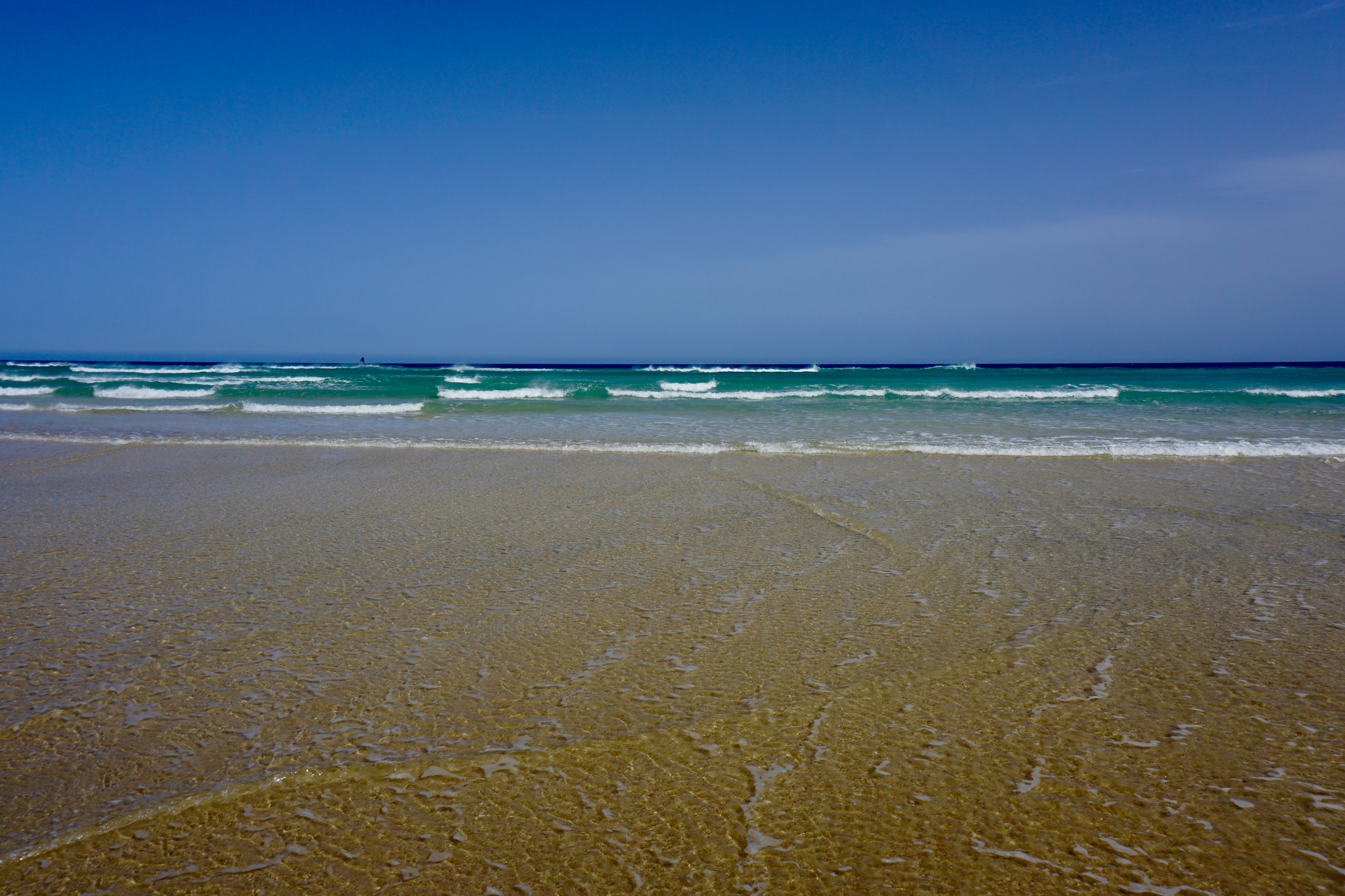 Gentle waves lapping at the sandy beach under a clear blue sky, creating a serene coastal scene.