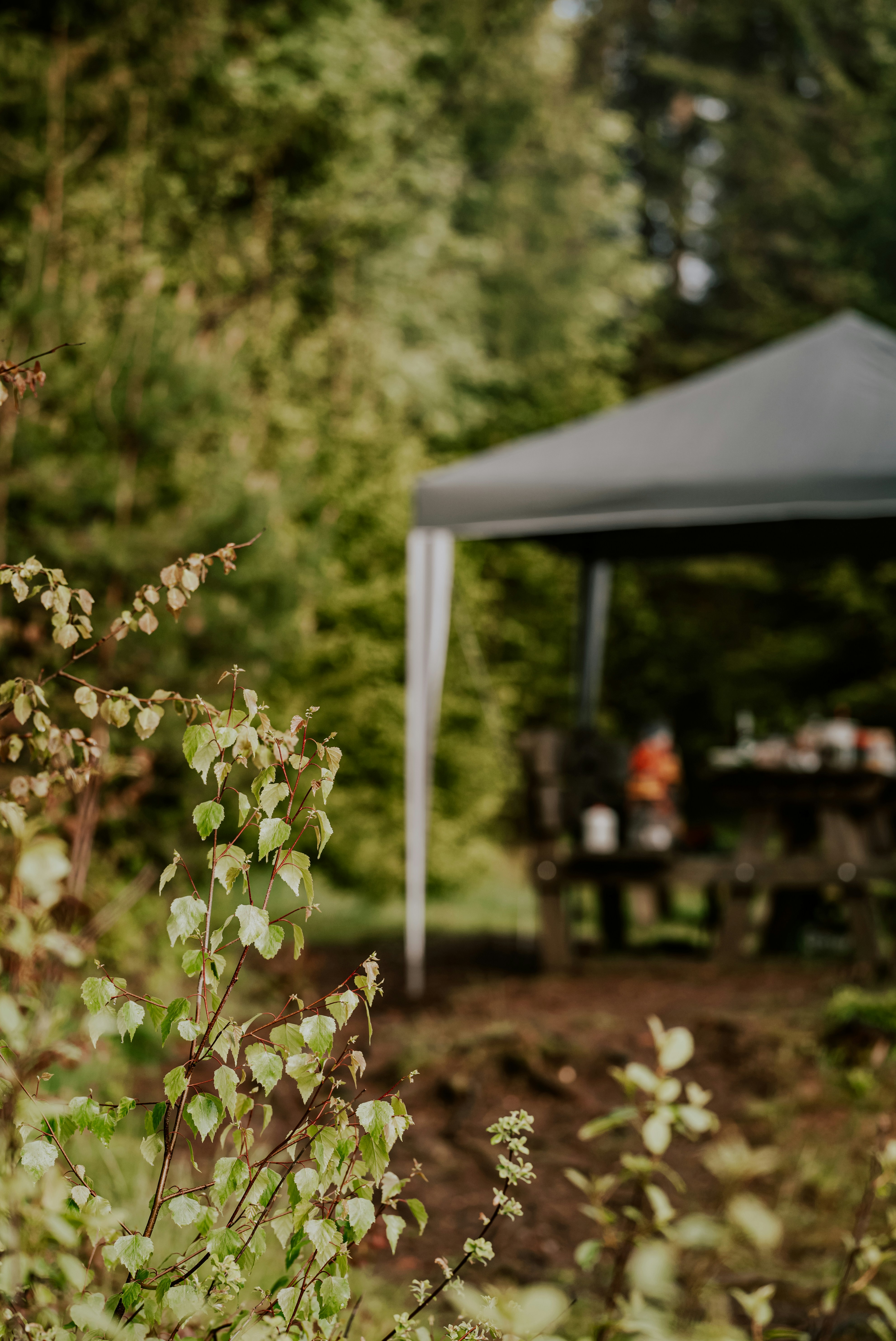 Quiet Garden Setup Under a Canopy