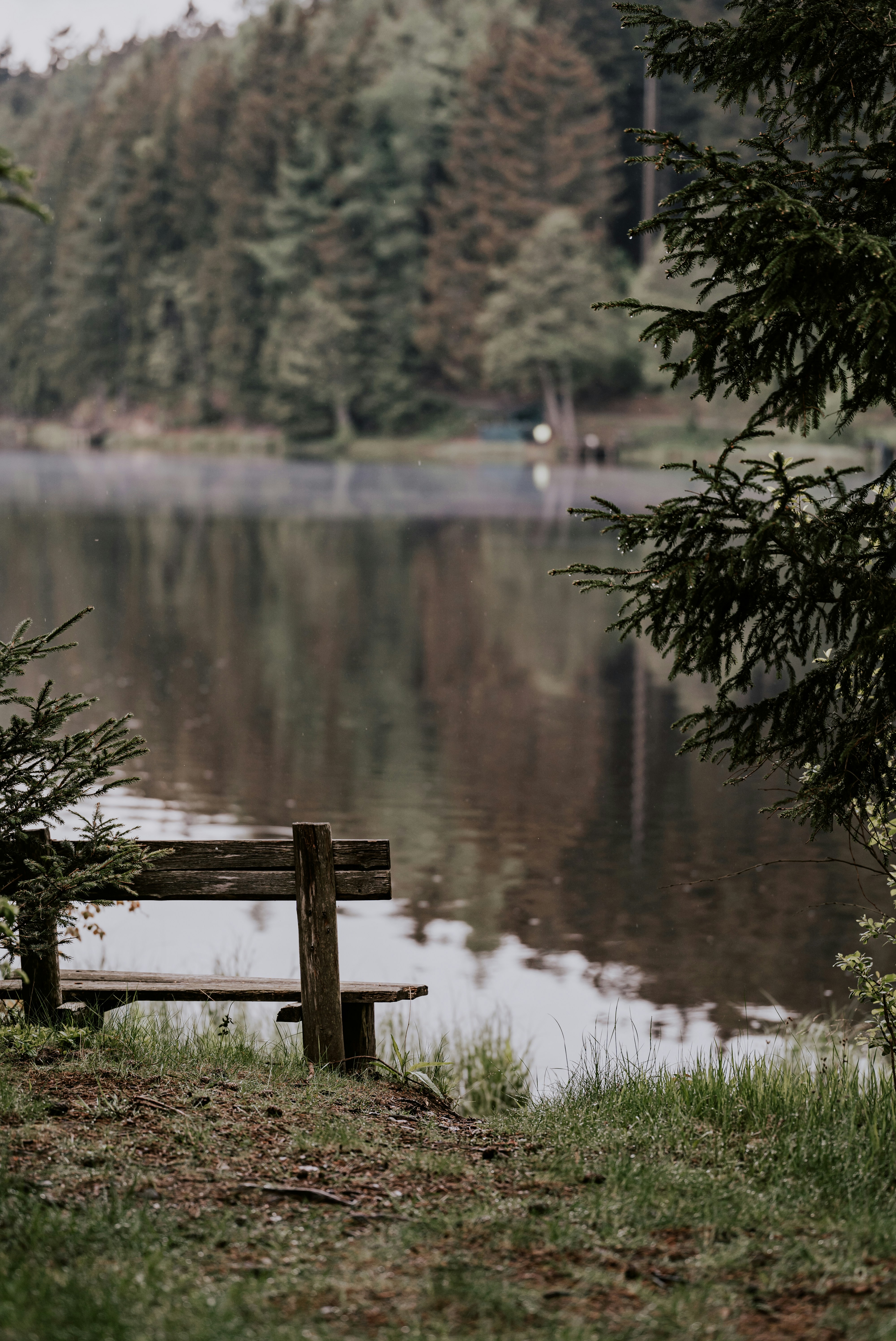 A bench sits by a lake photo – Free Nature Image on Unsplash