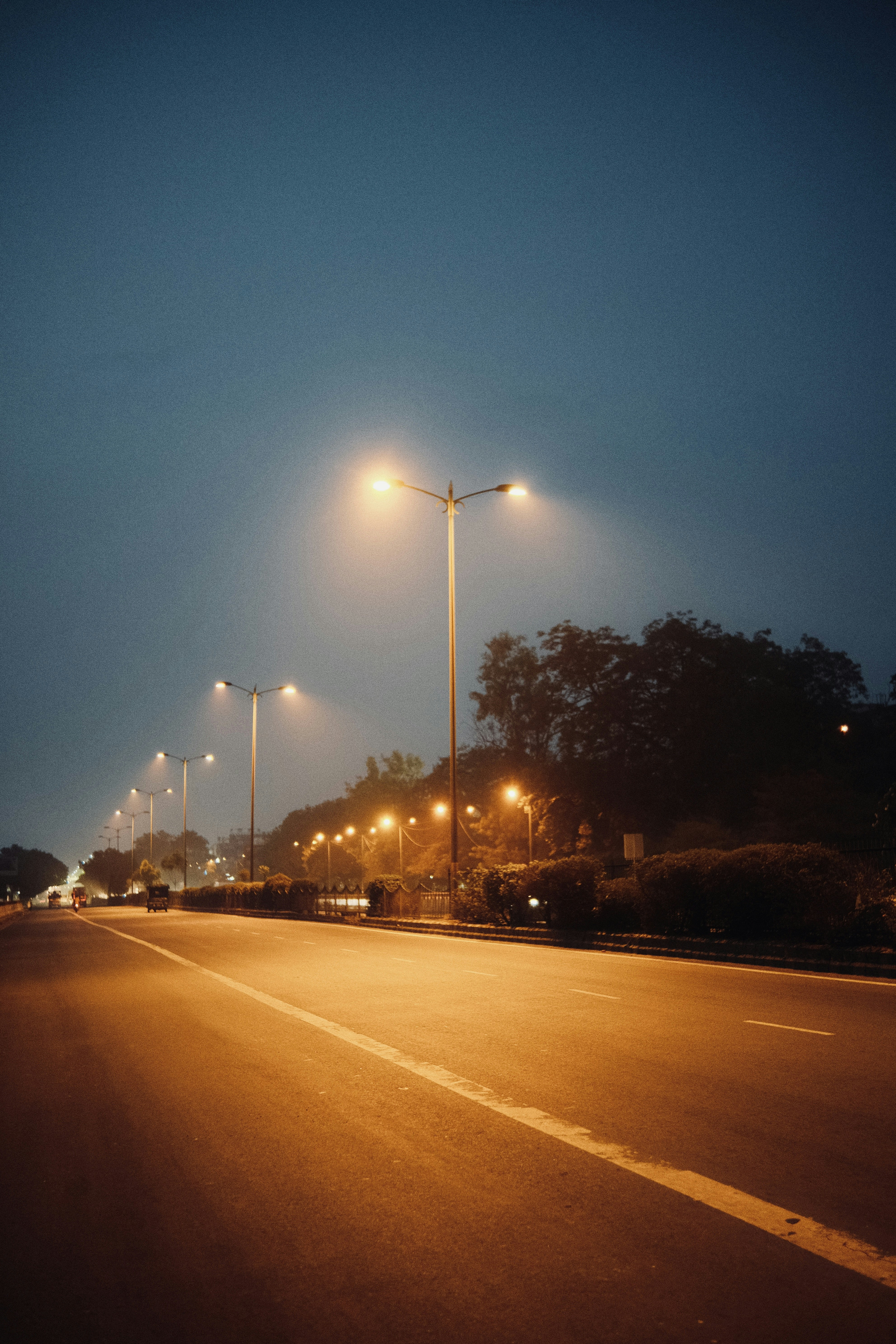 A road with street lights and trees photo – Free Road Image on Unsplash