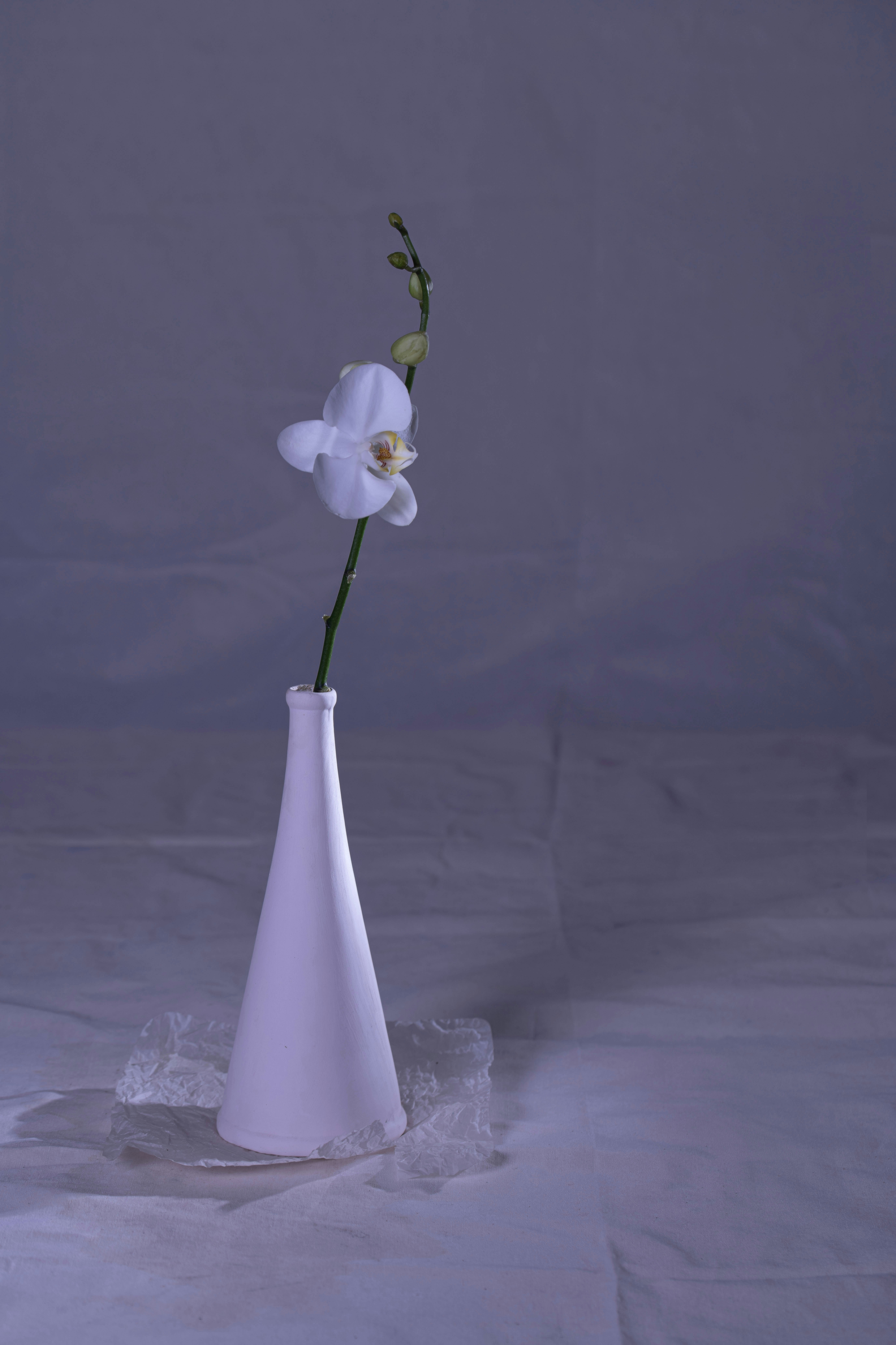 Photo by nilufar nattaq with Nikon D850