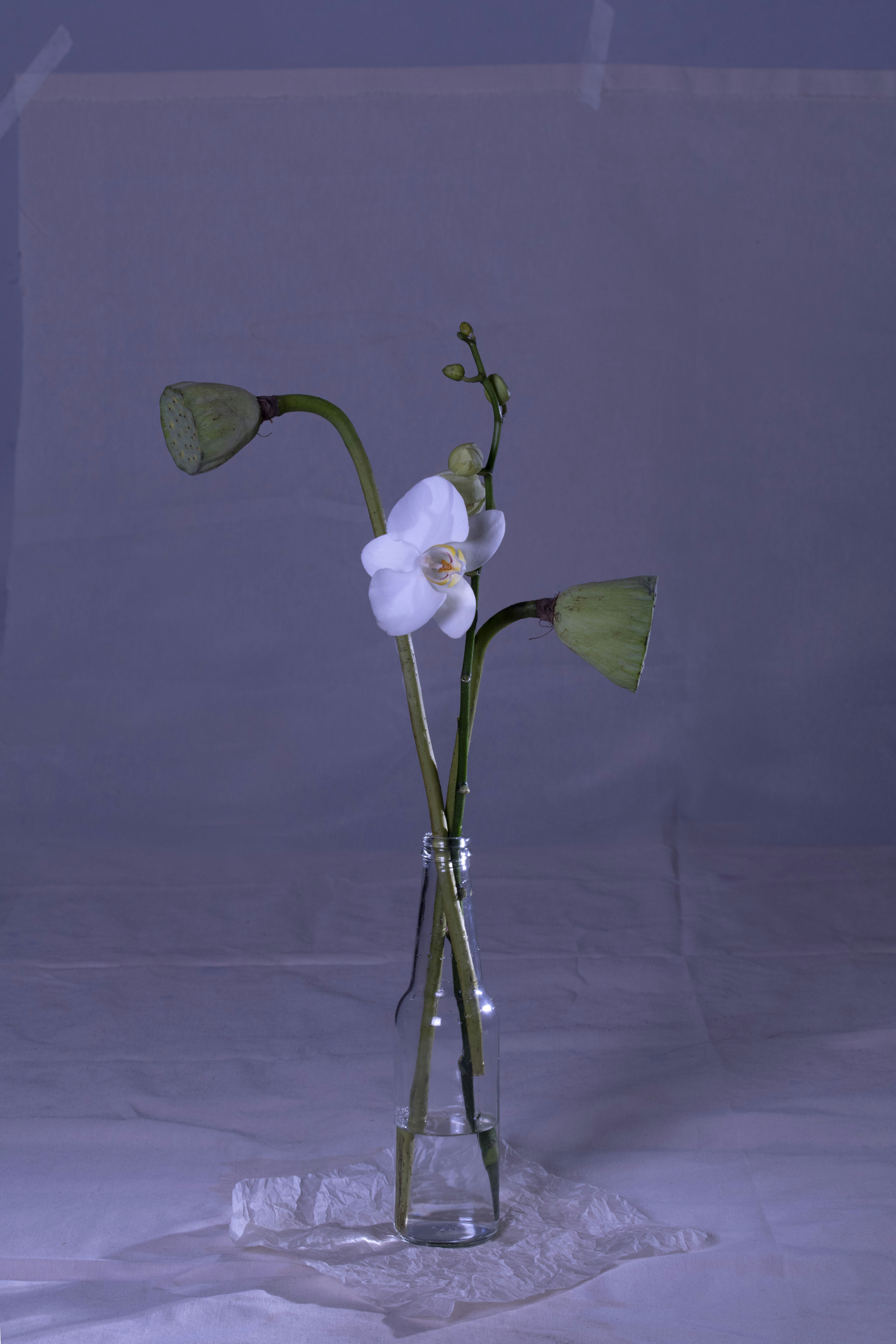 Photo by nilufar nattaq with Nikon D850