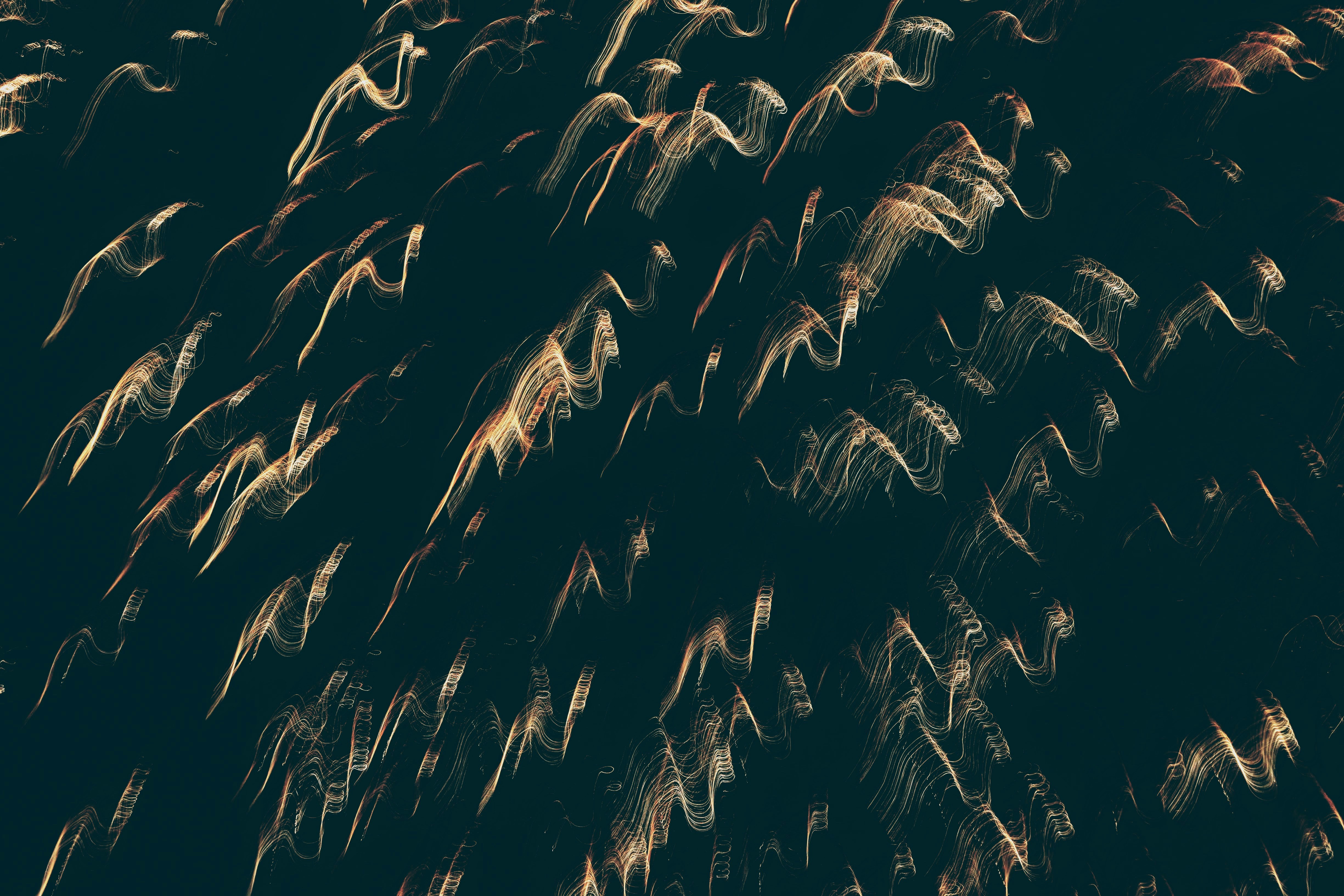 A close up of some wheat photo – Free Fireworks Image on Unsplash