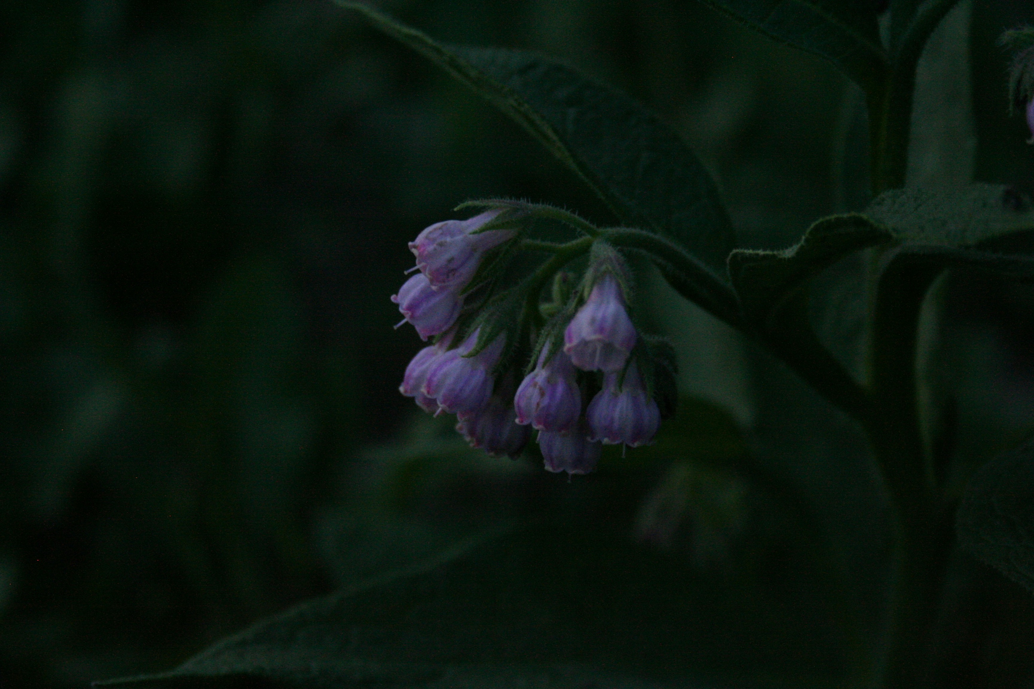 Photo by Даша Зобенько with Canon EOS 350D