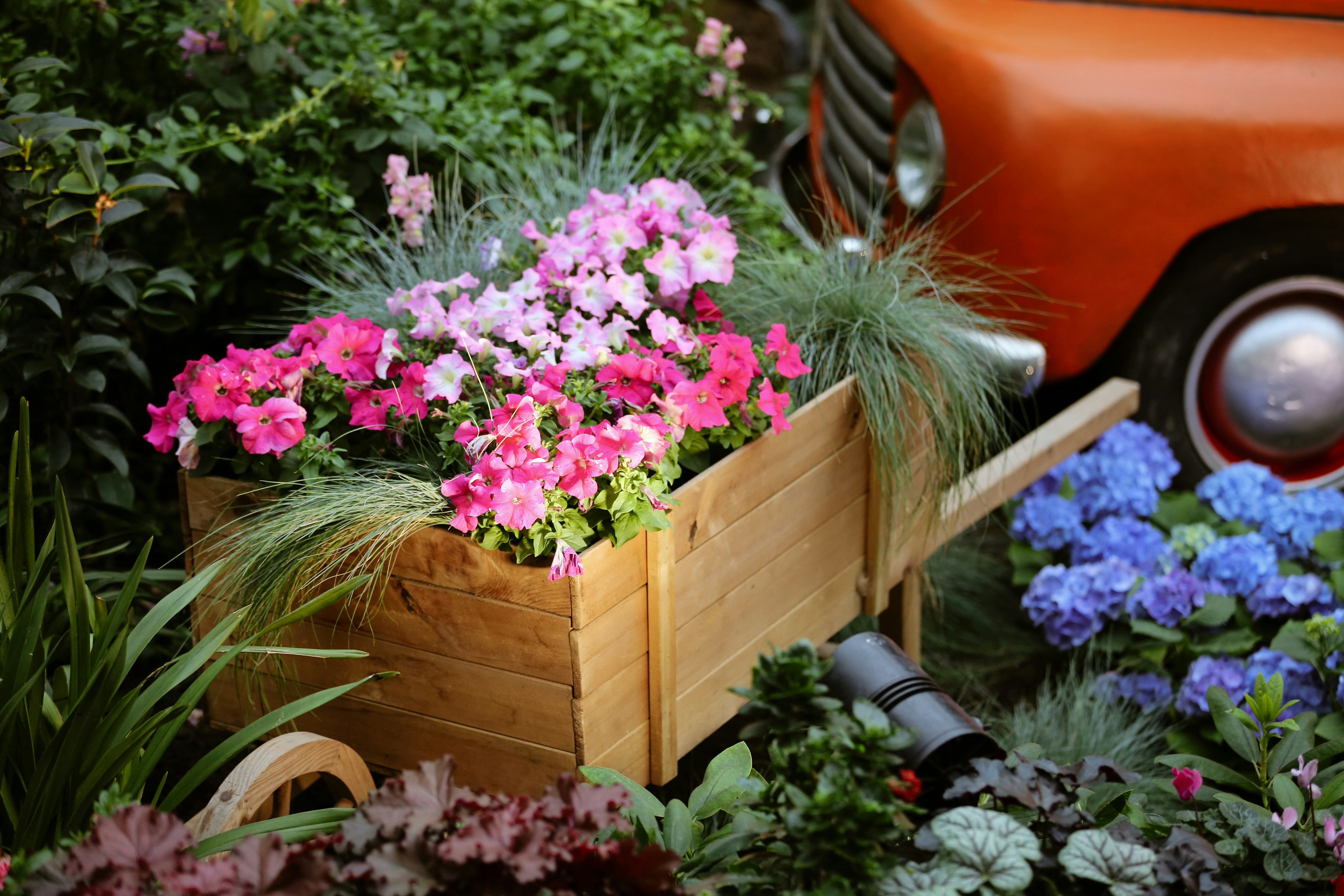 Pink Petal Box by the Orange Truck: Garden Charm in Focus
