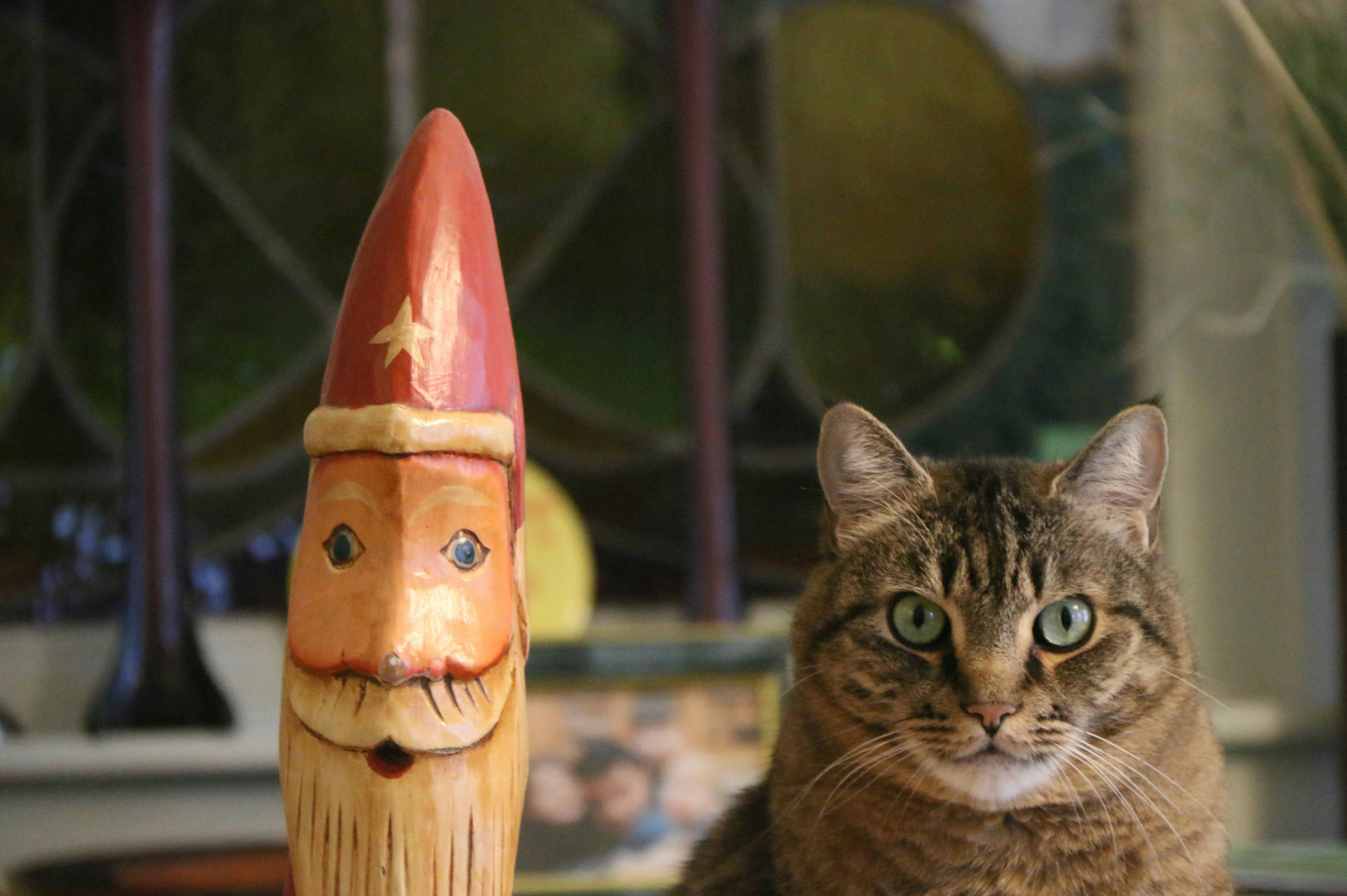 Cat and Nutcracker: Quiet Moment at the Window