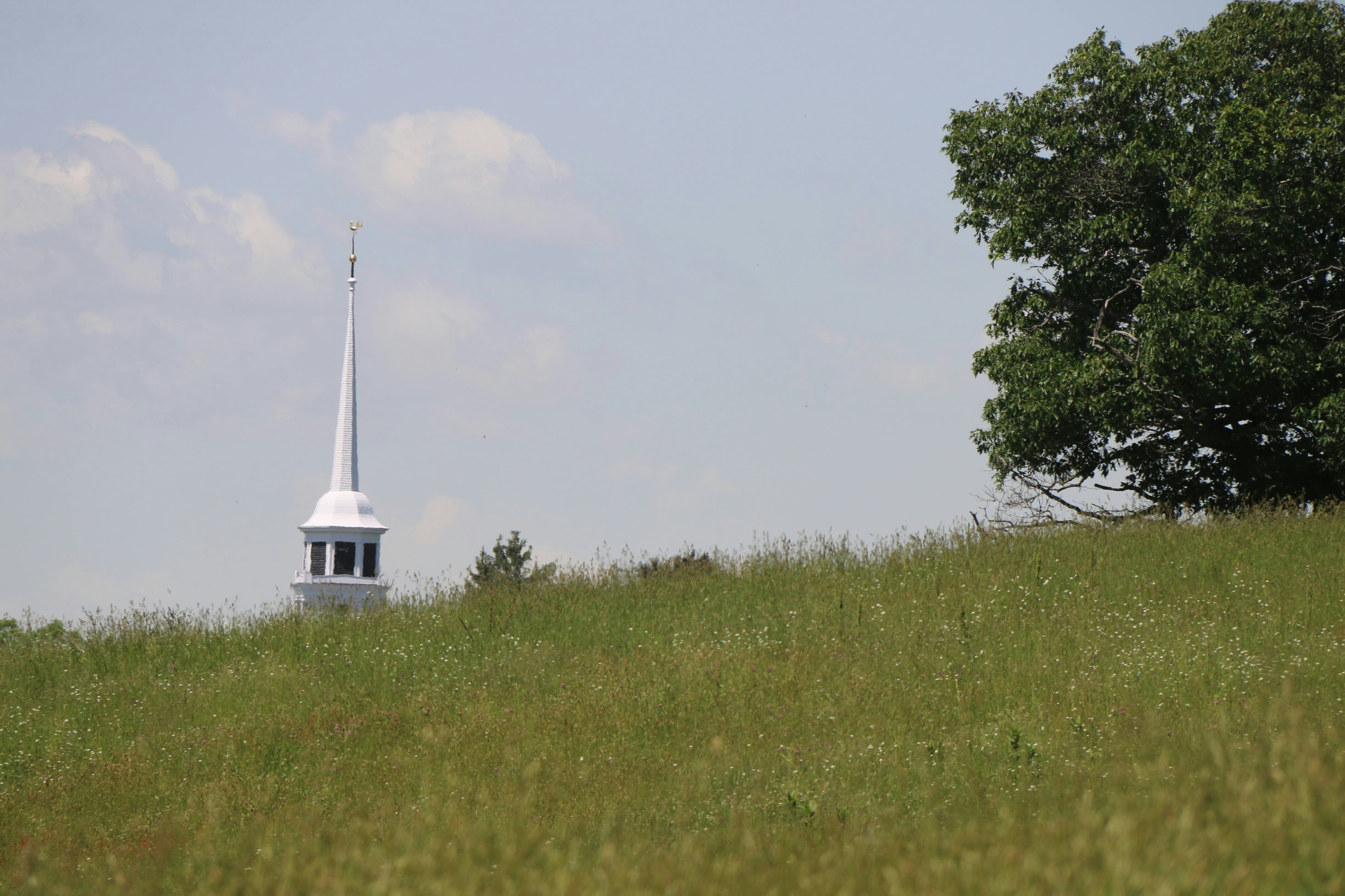 Photo by Steve Lieman with Canon EOS 70D