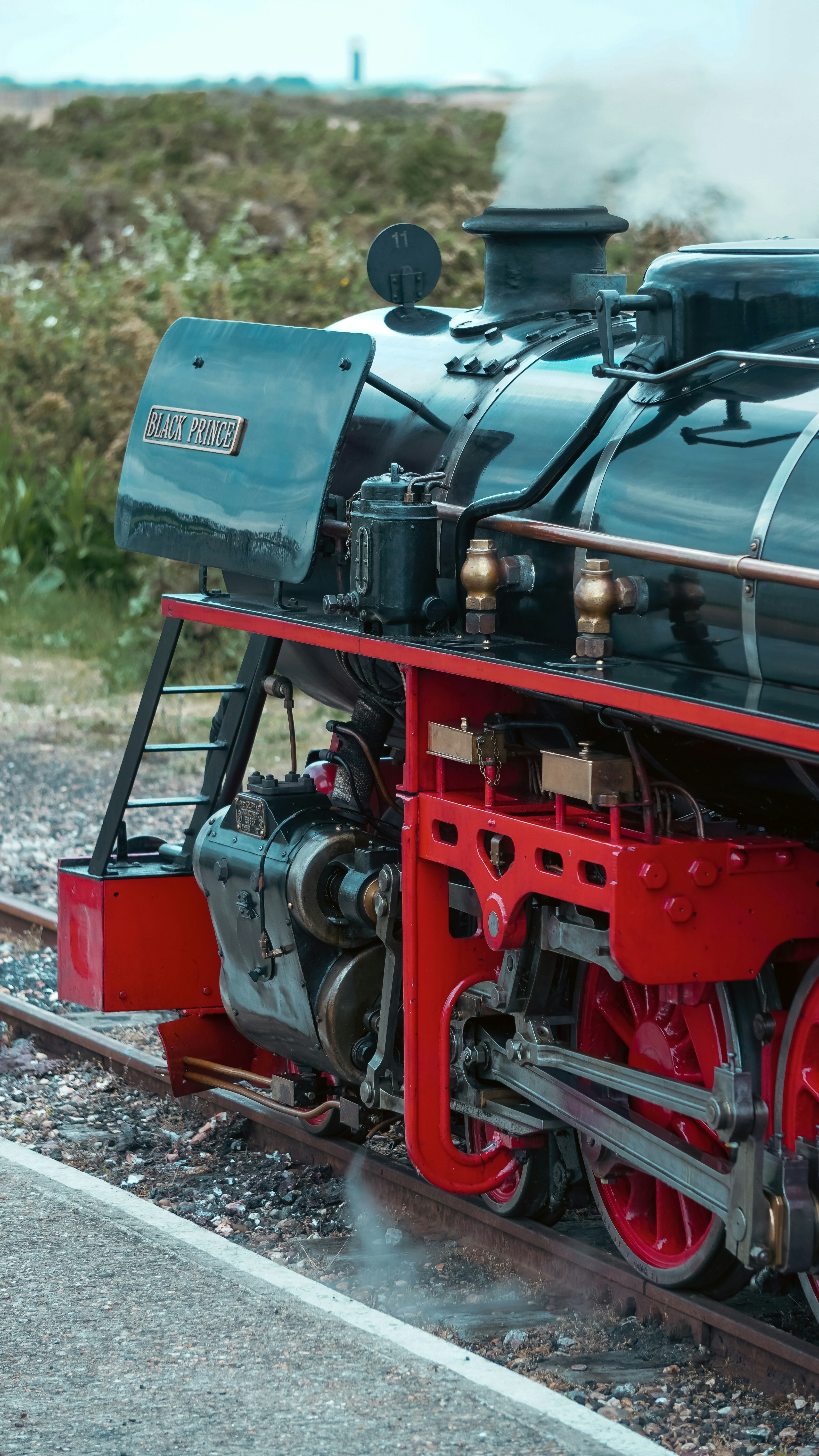 Black Prince on Rails: A Close-Up of Steam and Steel