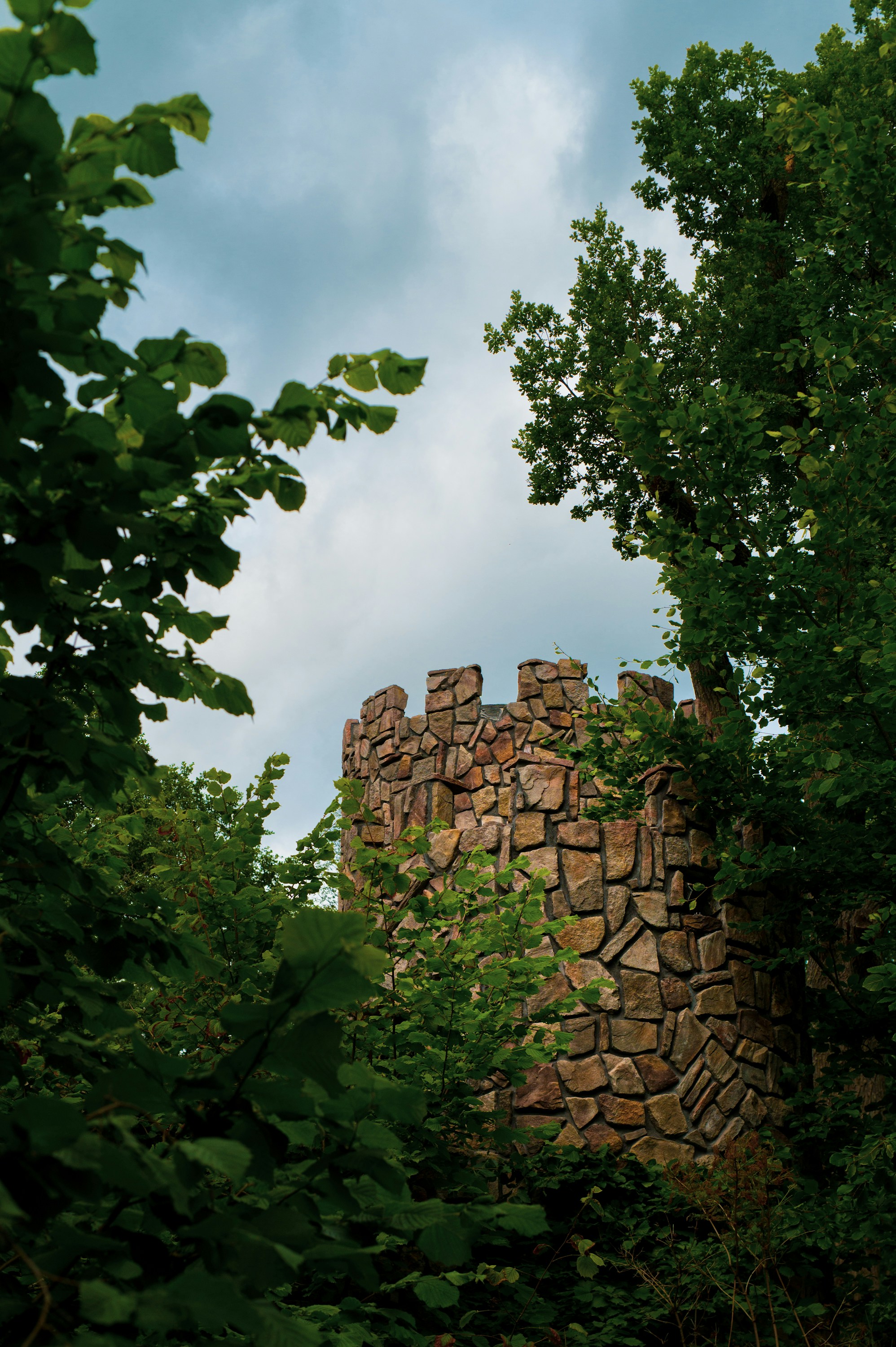Abandoned castle ruin behind trees