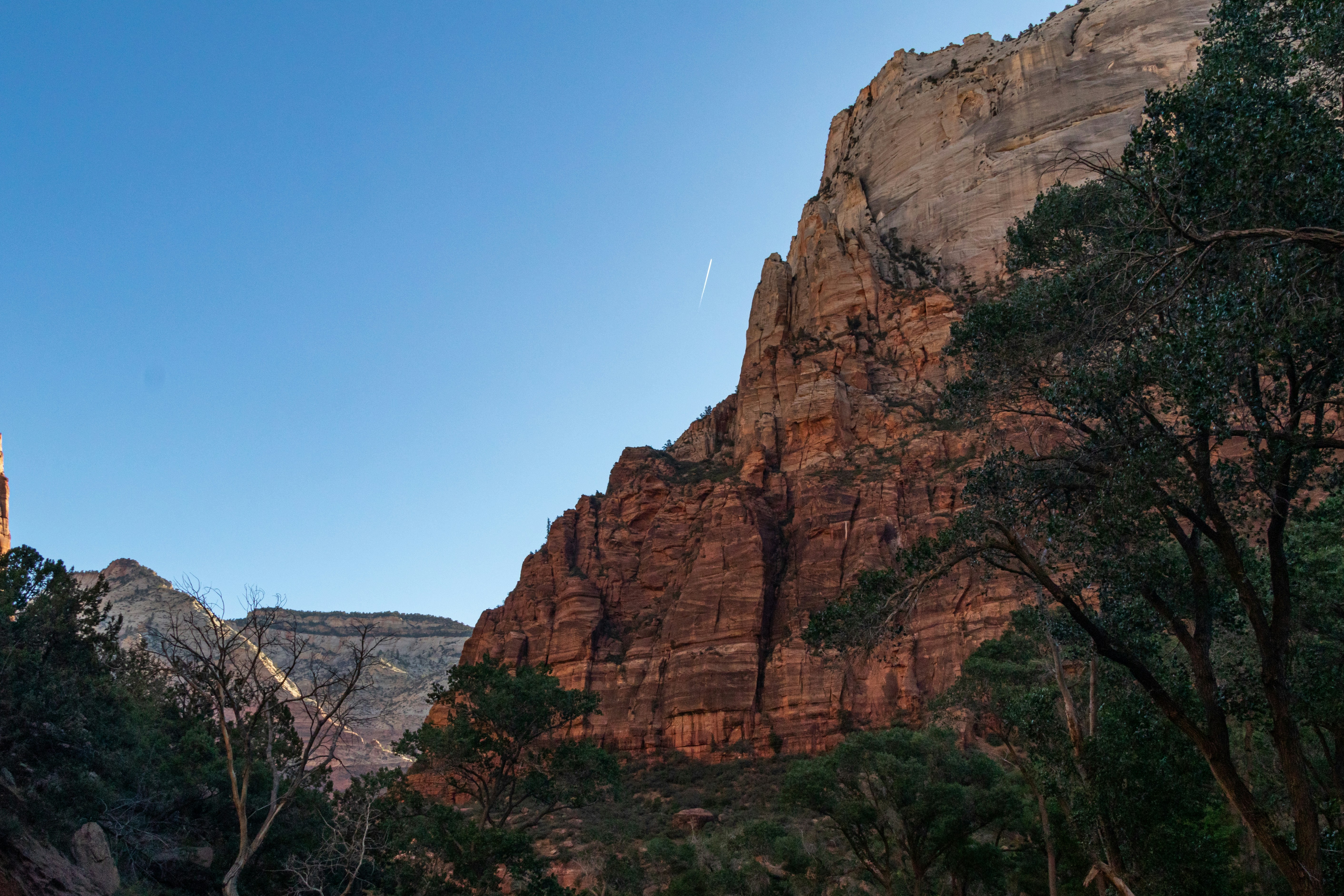 Whispers of the Canyon Walls