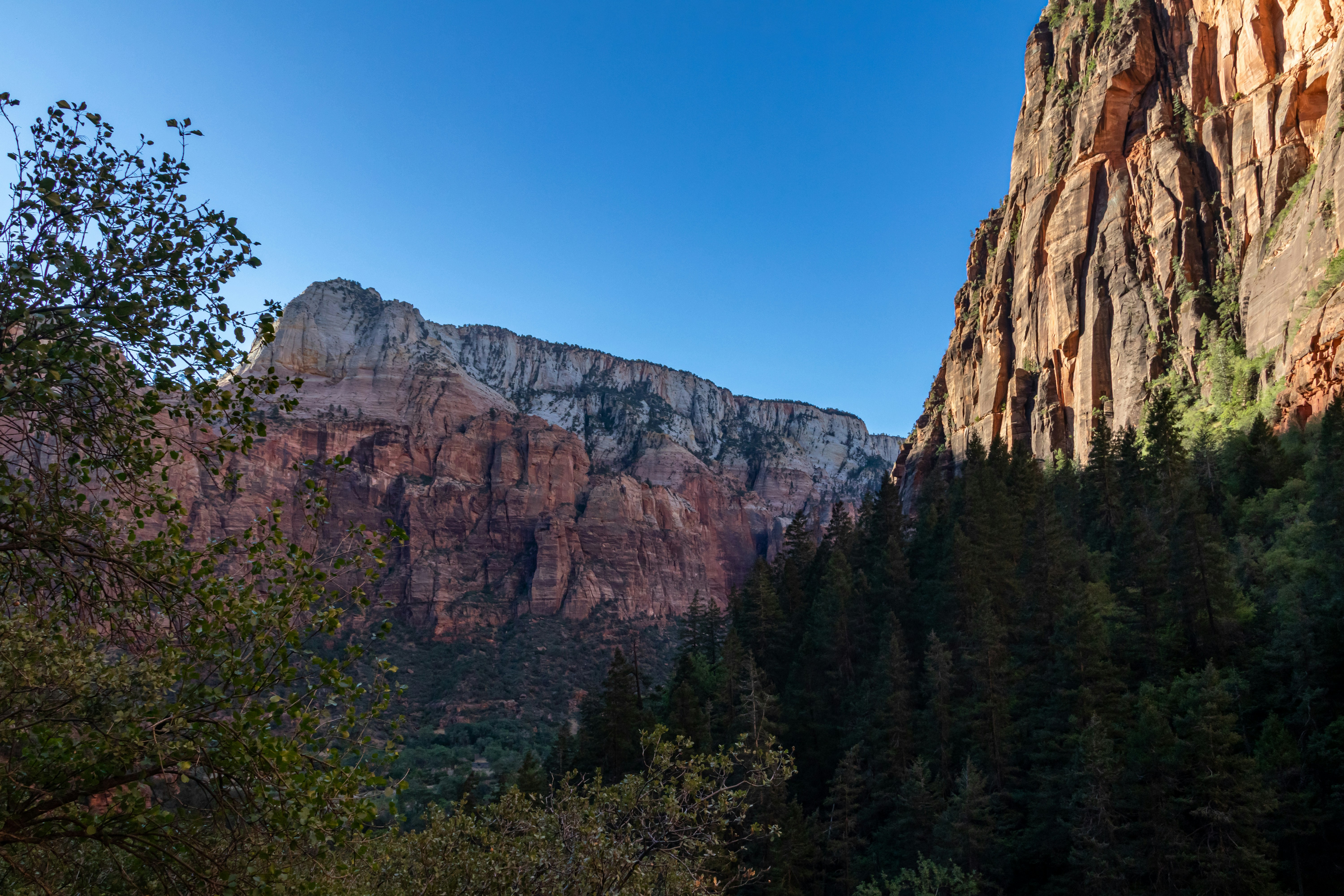 A rocky mountain with trees with Zion National Park in the background ...
