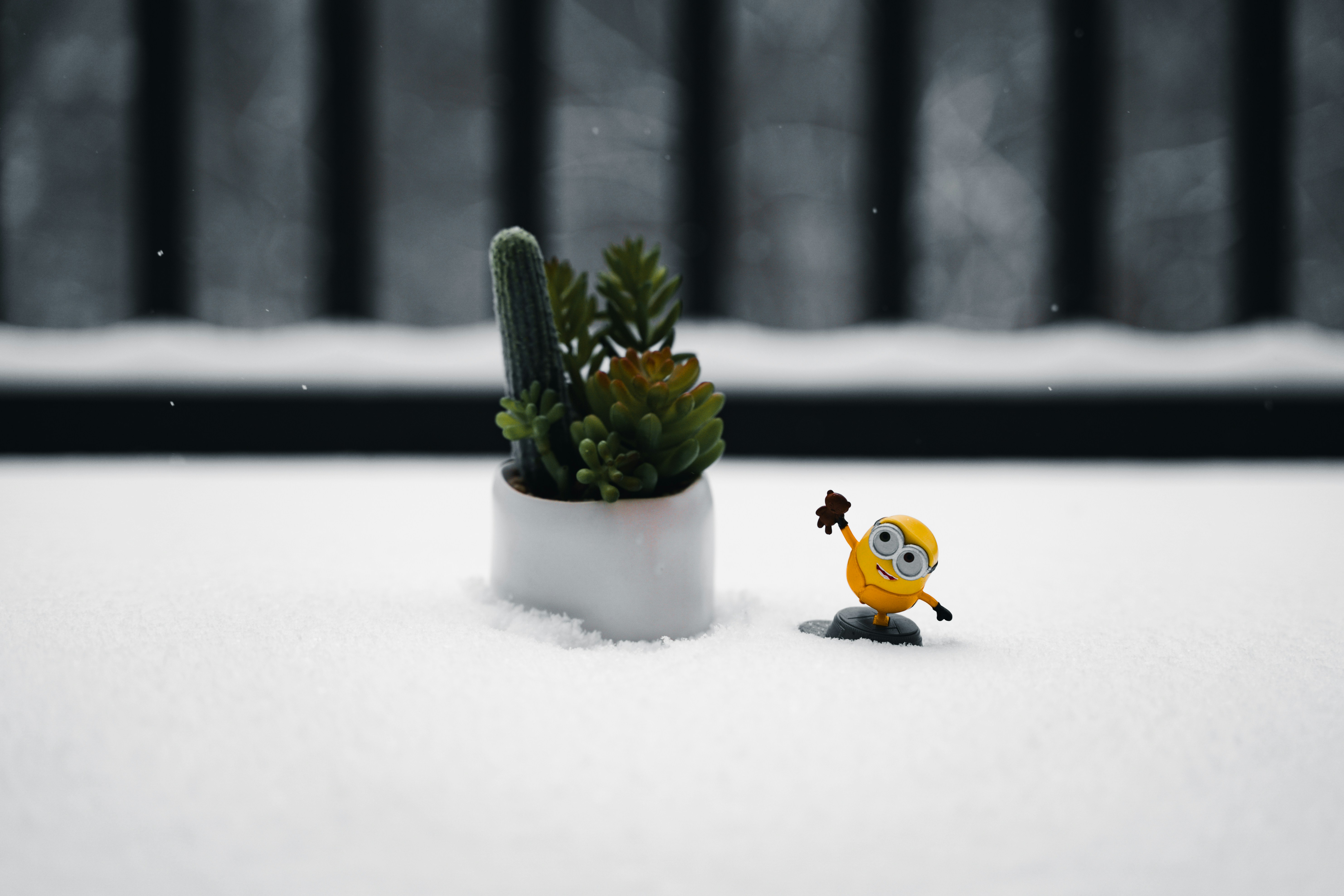 Tiny Cactus, Big Snow: A Minimal Moment with a Playful Minion