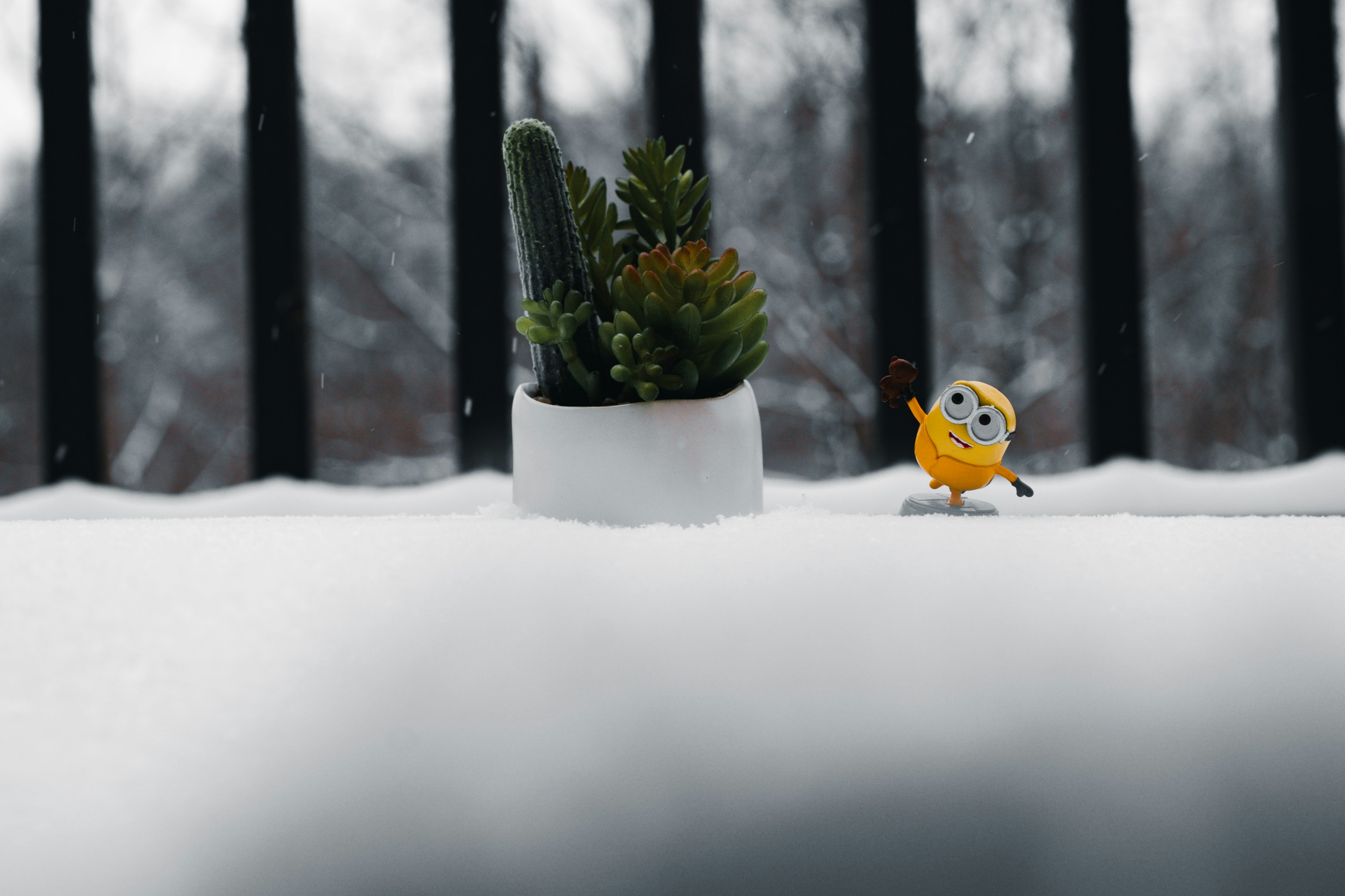 Winter Micro-Stage: Petite Plant and Minion Toy on Snow