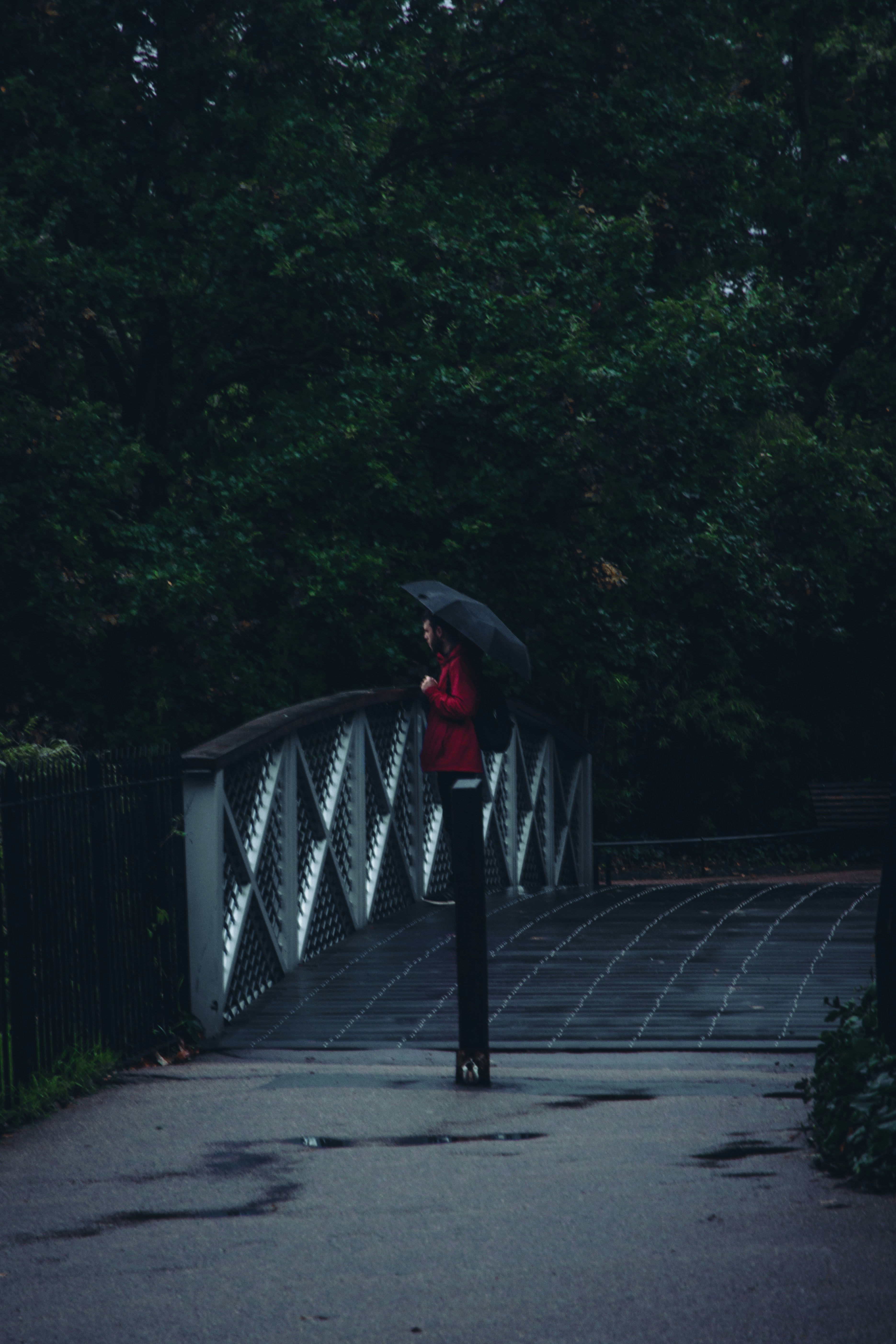 A figure in a red coat stands on a bridge, holding an umbrella against a backdrop of lush green foliage. The scene evokes a sense of quiet reflection amidst the rain.