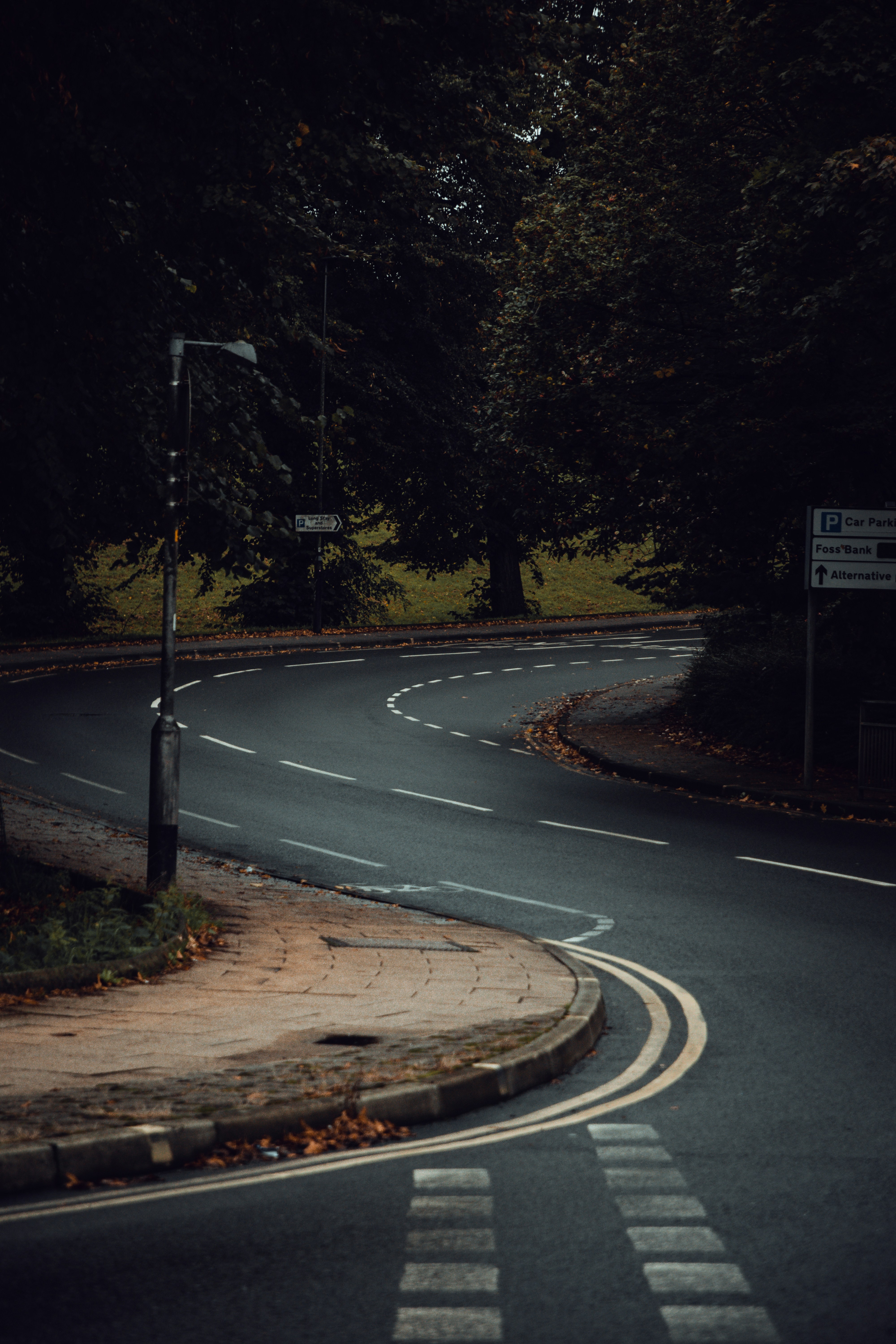 a road with trees on the side