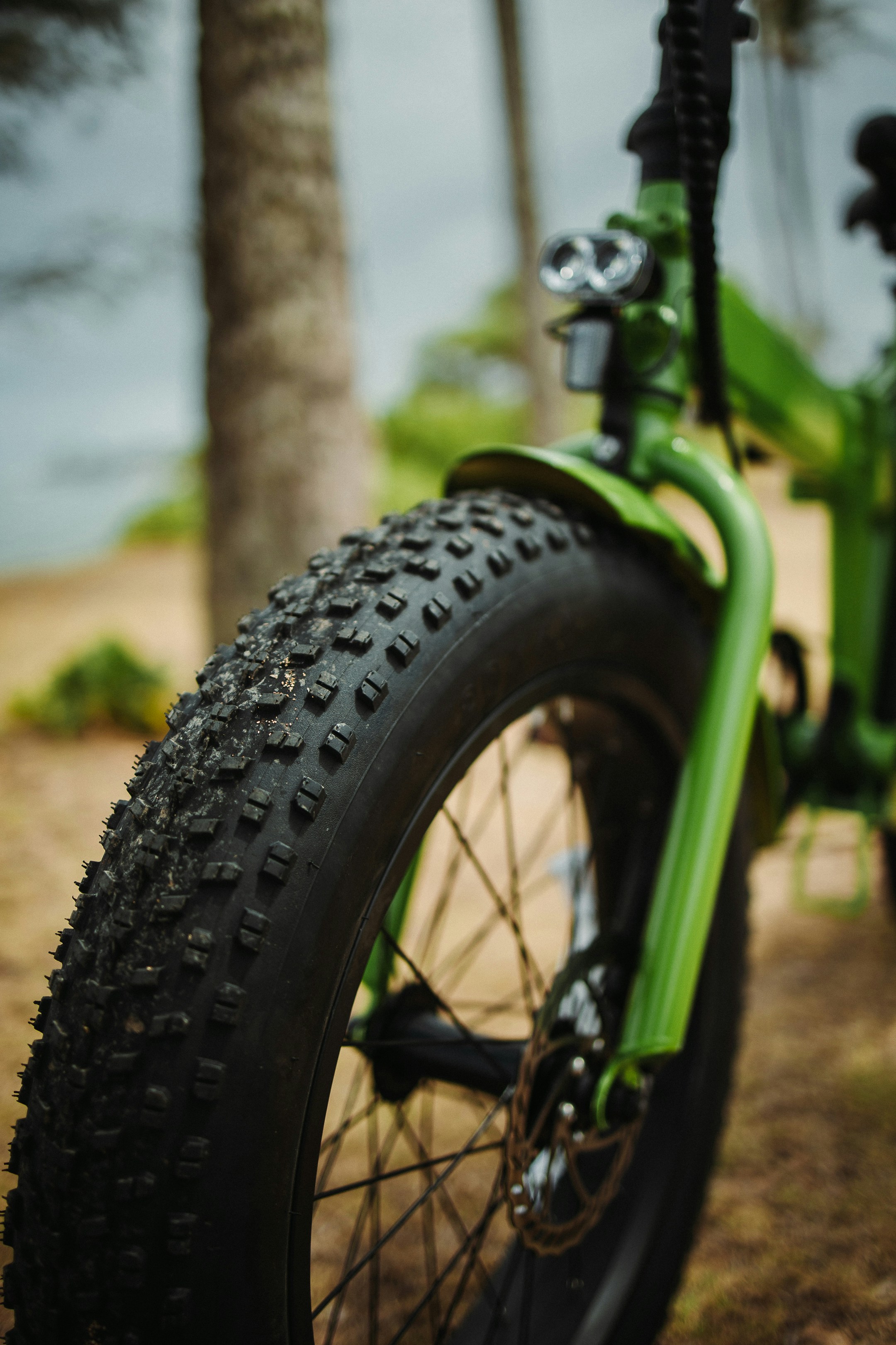 Close-up of a fat bike's rugged tire and frame, showcasing its durability and readiness for off-road adventures.