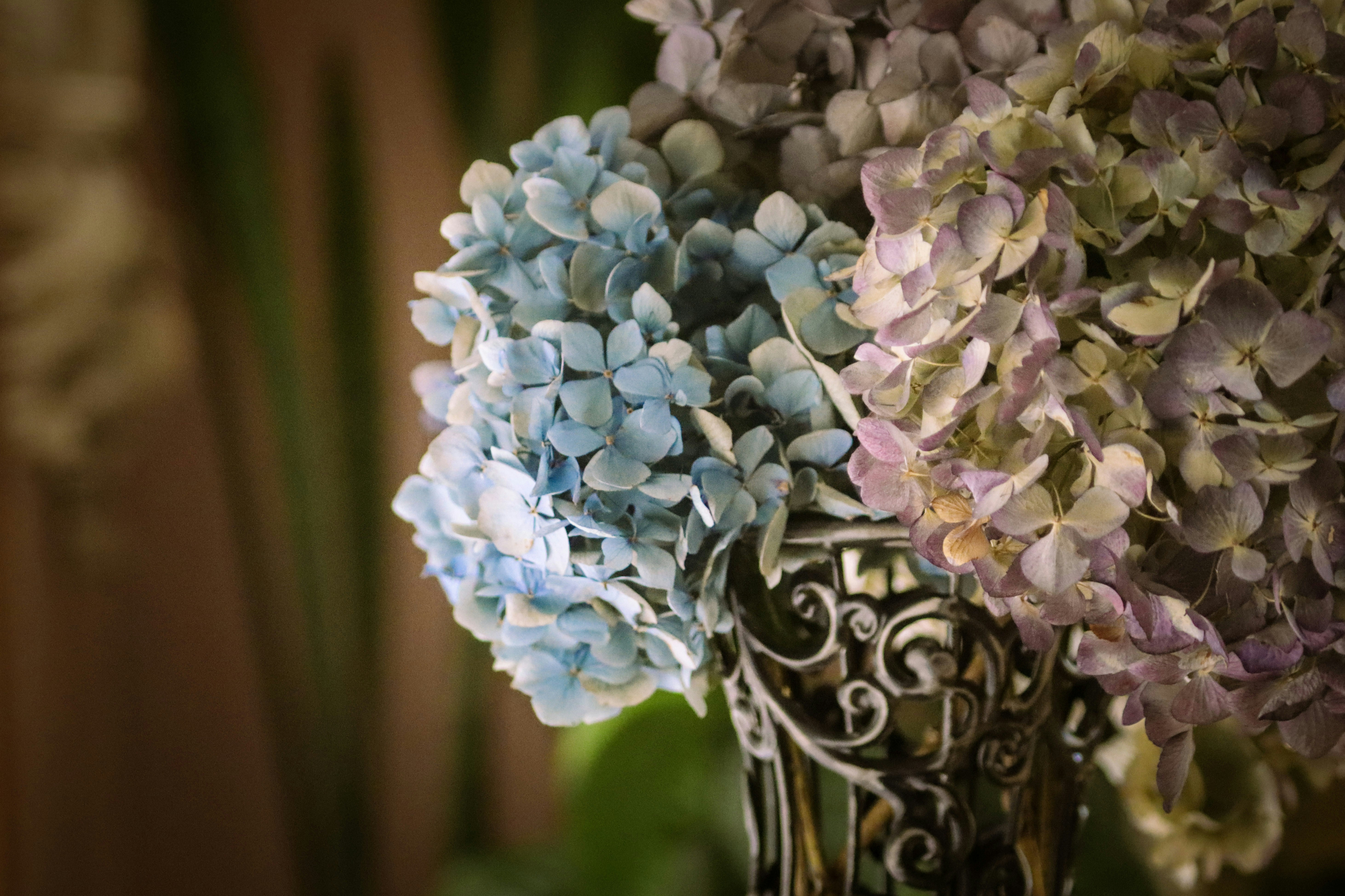 Photo by K H with Canon EOS 850D