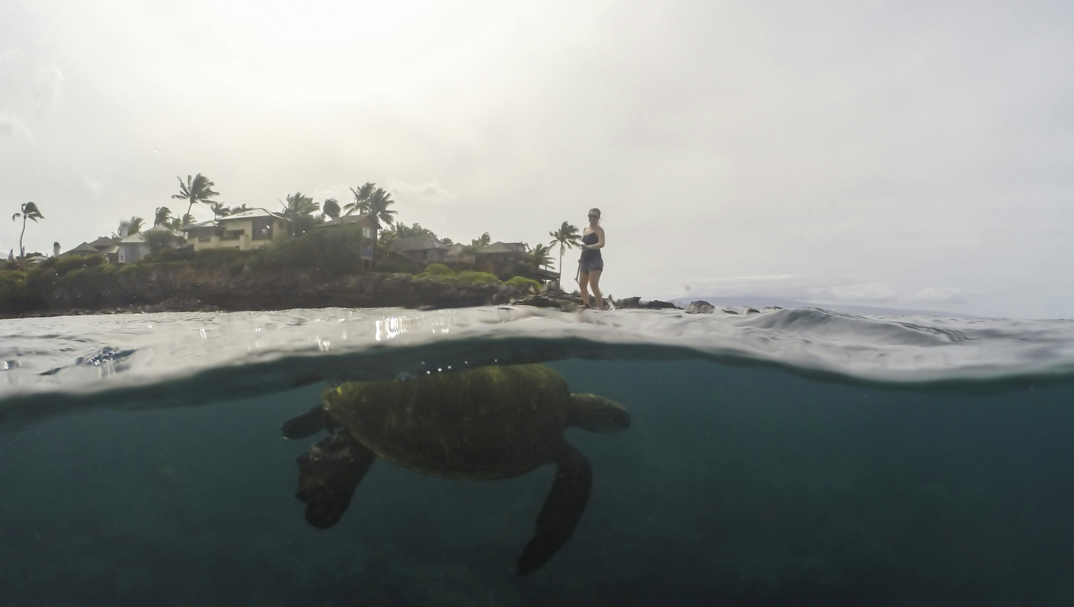 Photo by Leo_Visions with GoPro HERO3 Black