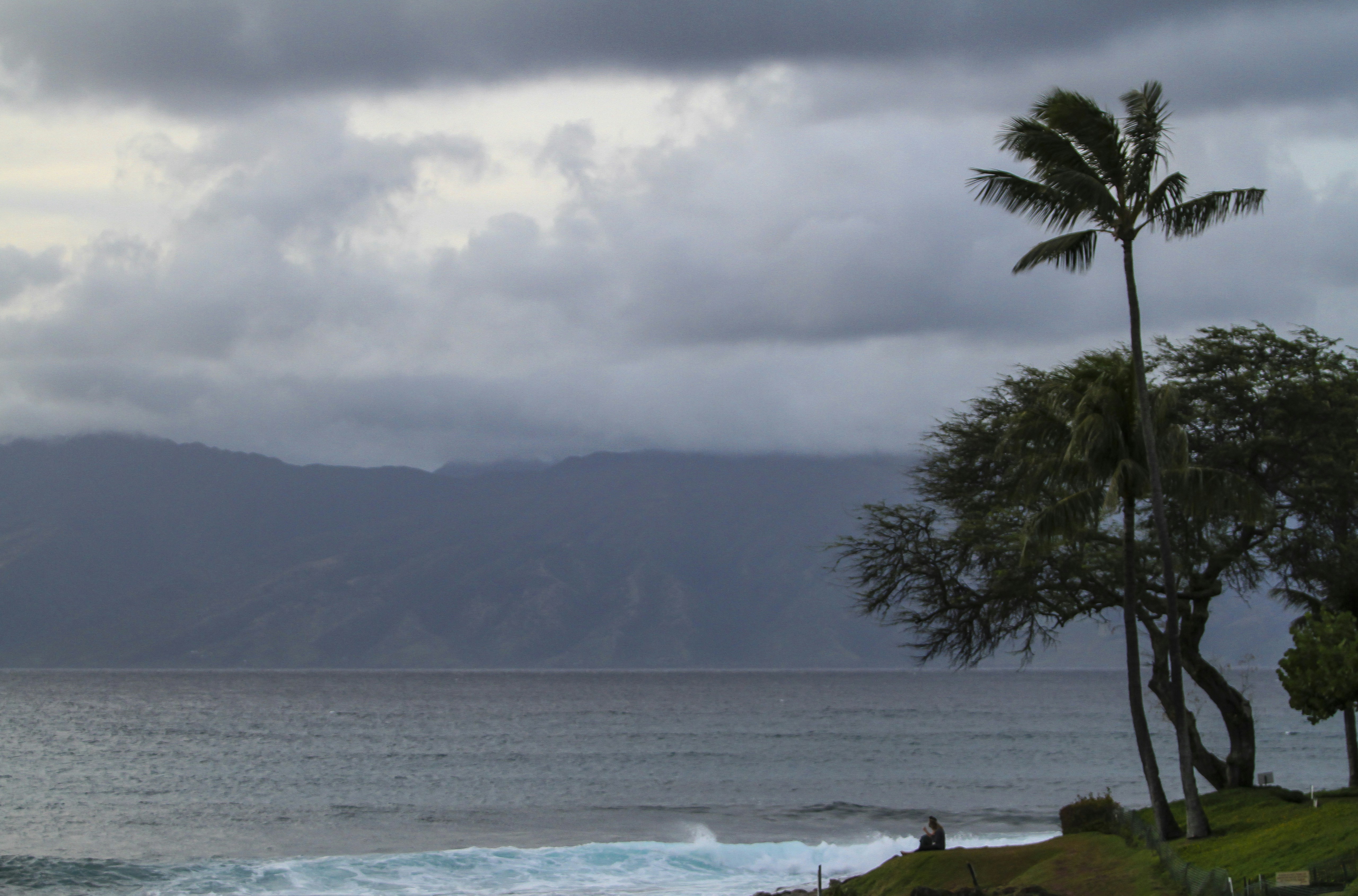 Xavier Elam Hawaii Pictures | Download Free Images on Unsplash