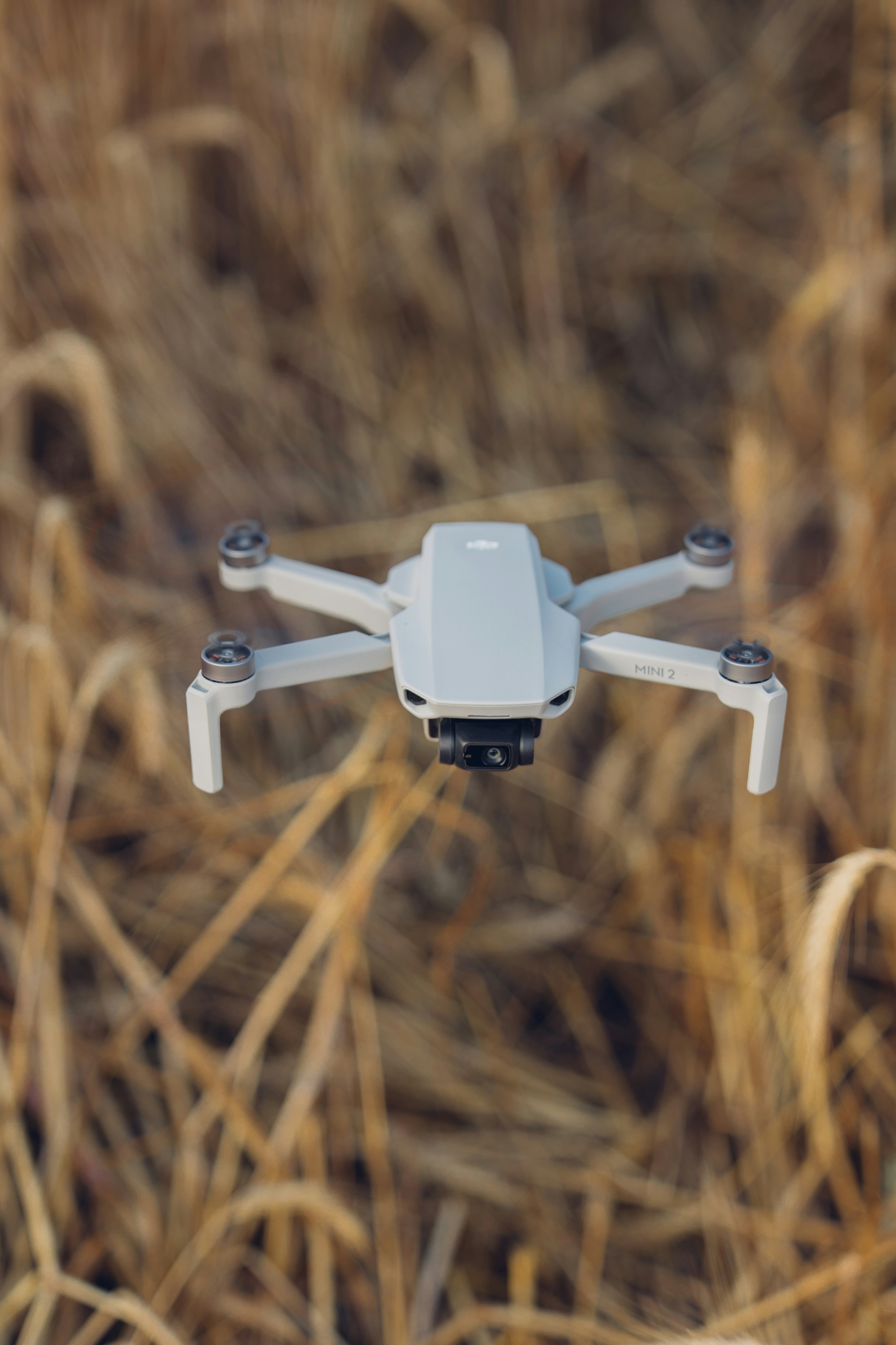 Hovering in the Golden Quiet: a white quadcopter over a sunlit wheat field