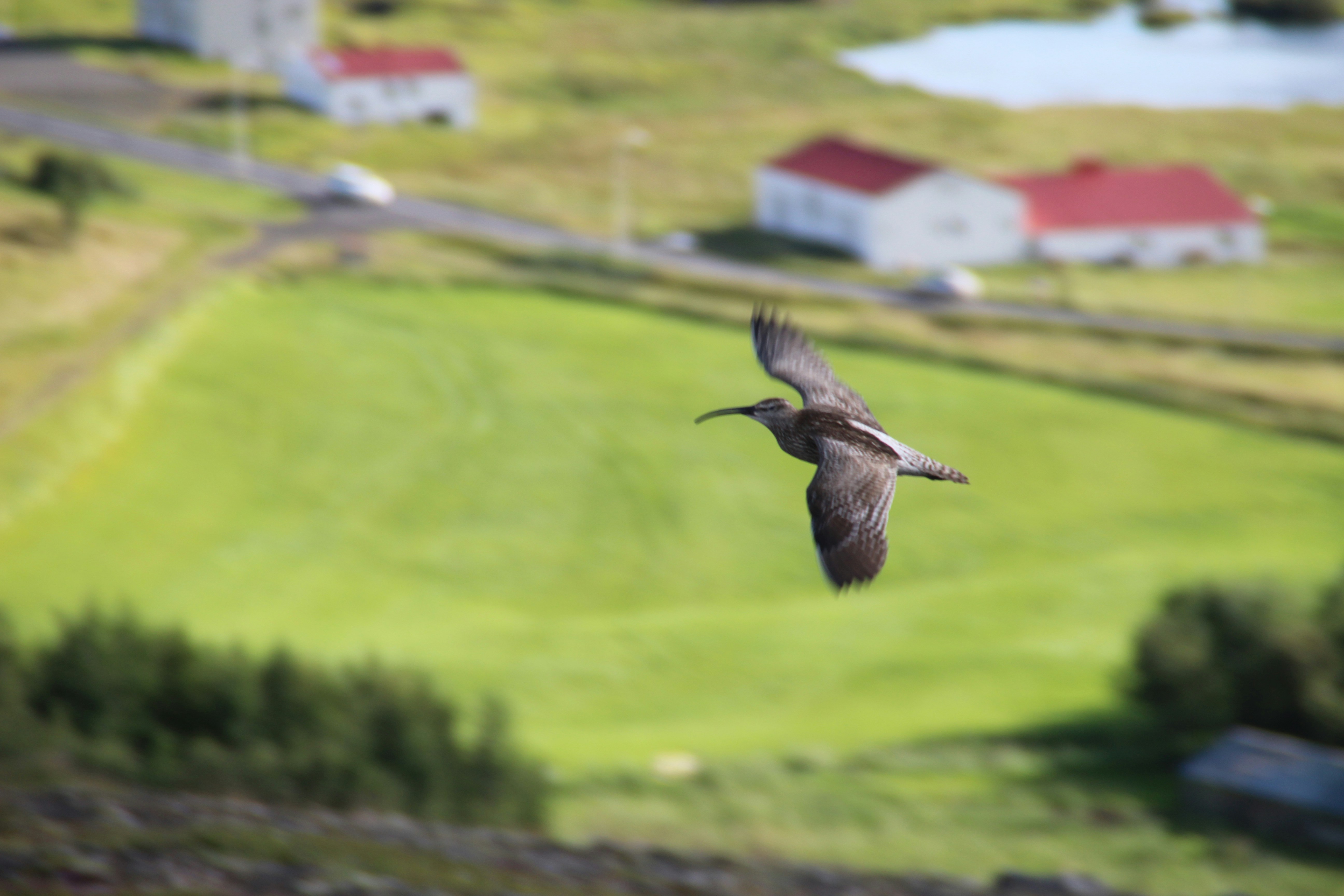 Midflight over a Patchwork Valley