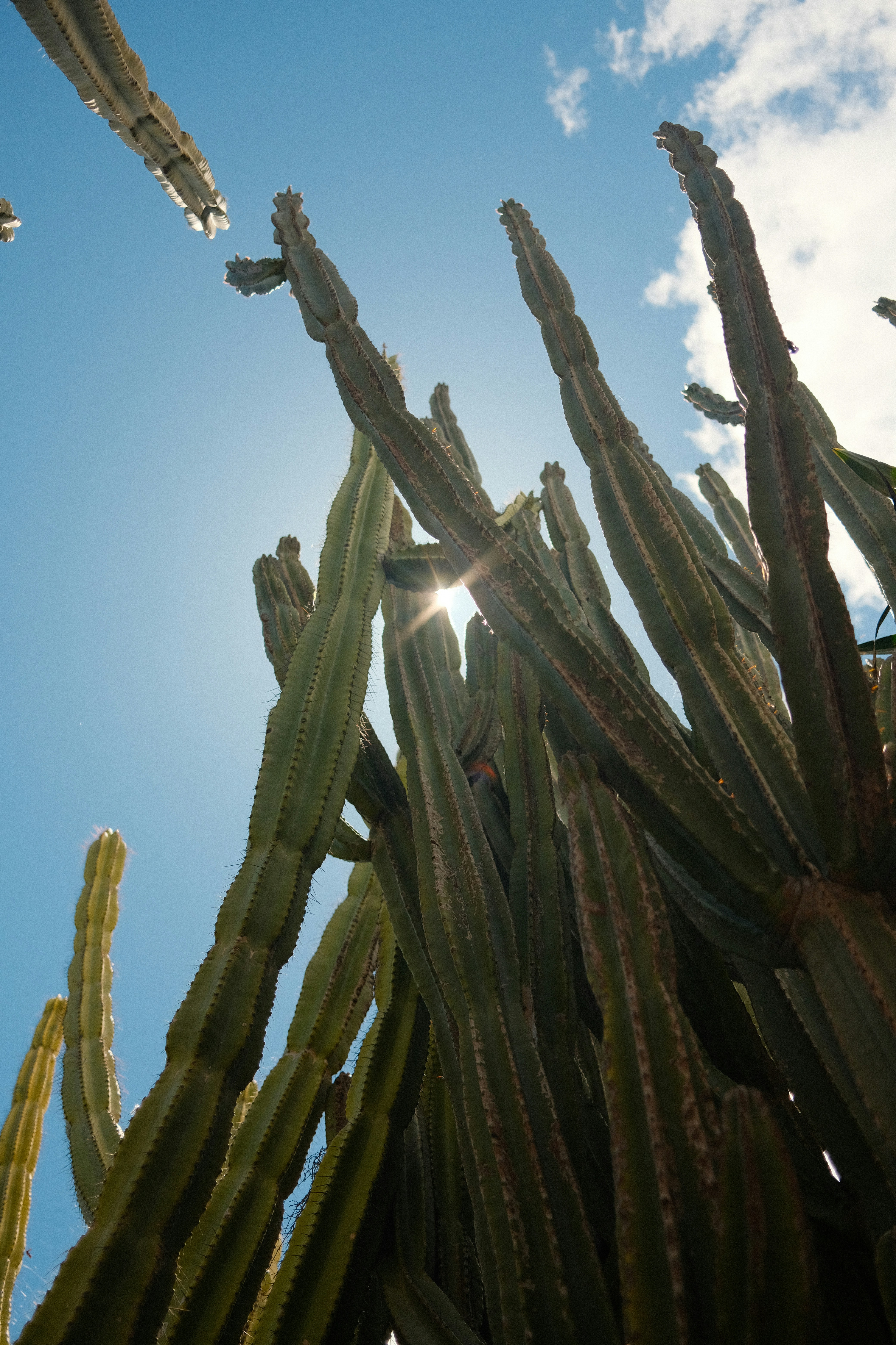 Photo by Kira Laktionov with Fujifilm X100V